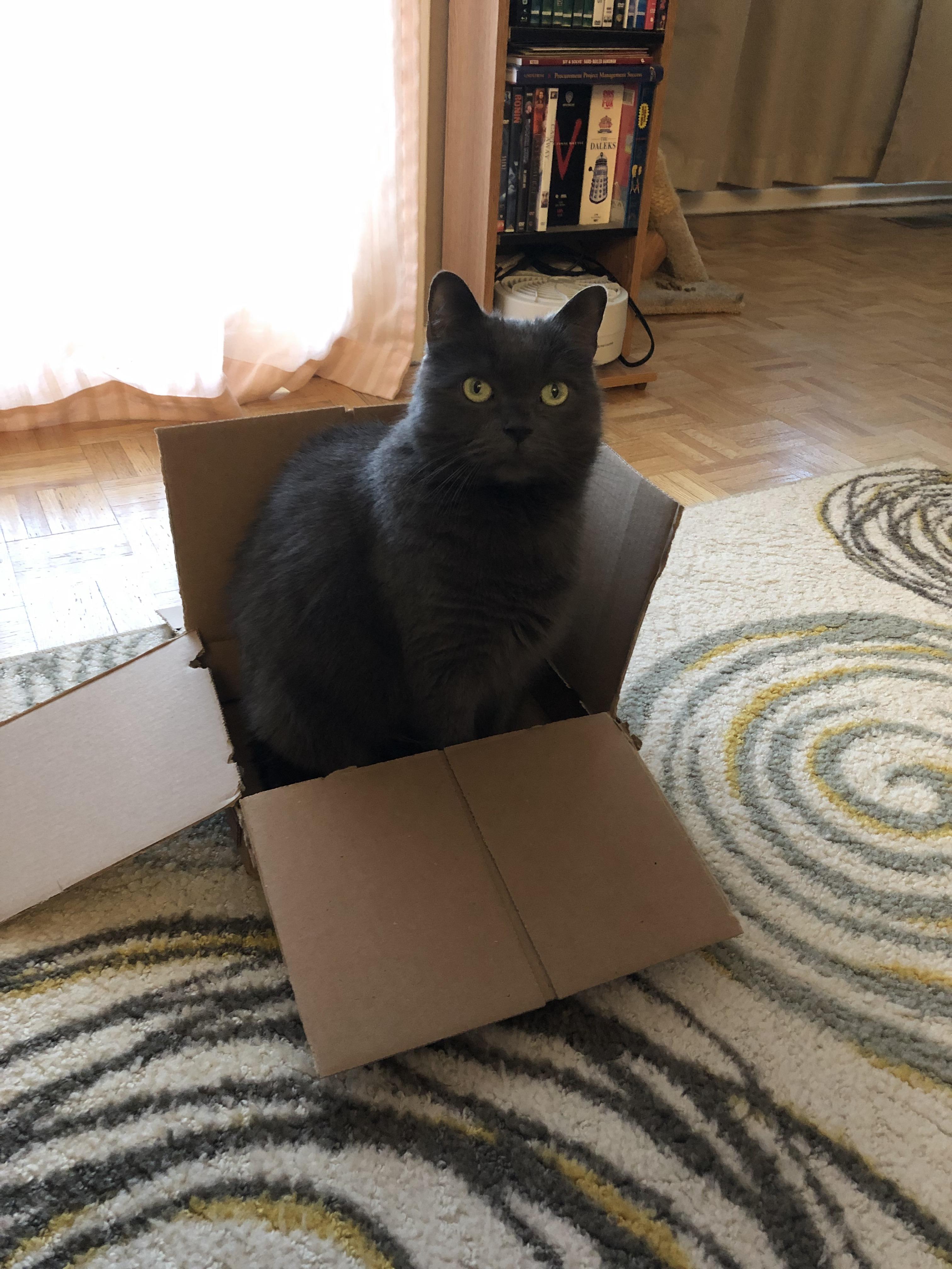 My precious.. | Scrolller