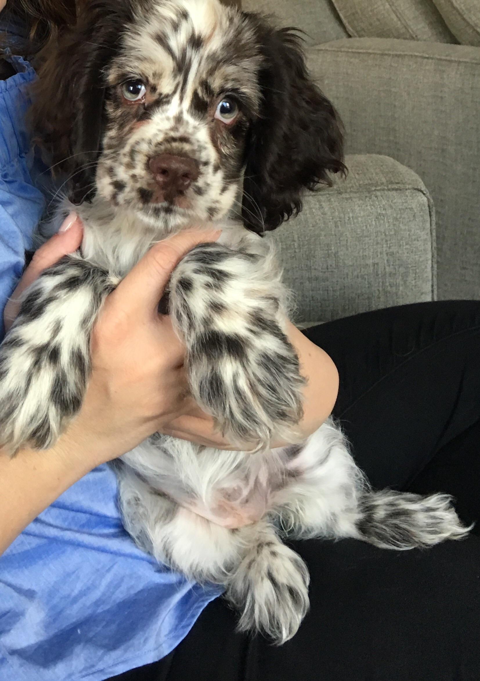 My pretty baby Abby 💕 | Scrolller