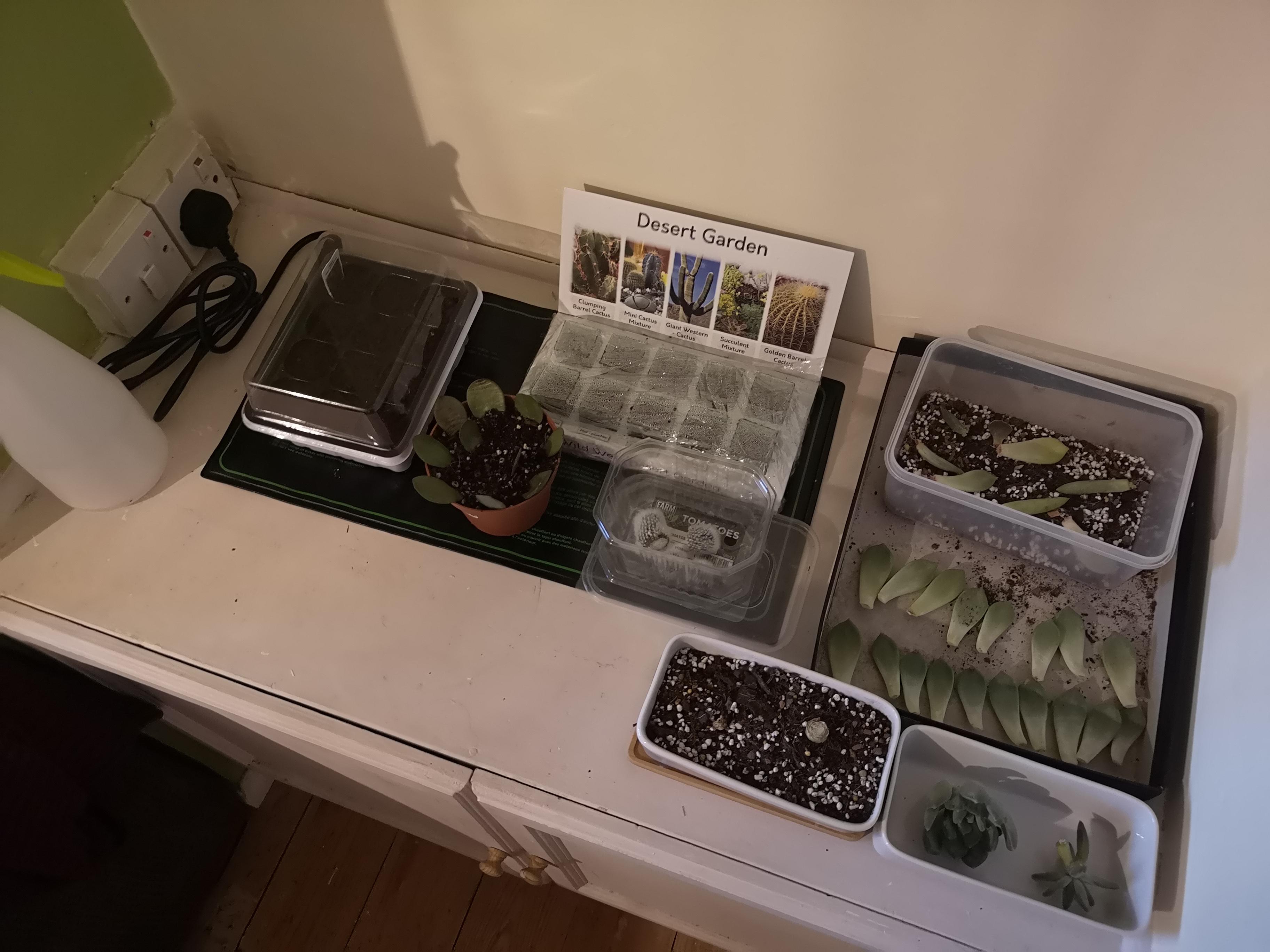 My propagation station 😊 | Scrolller