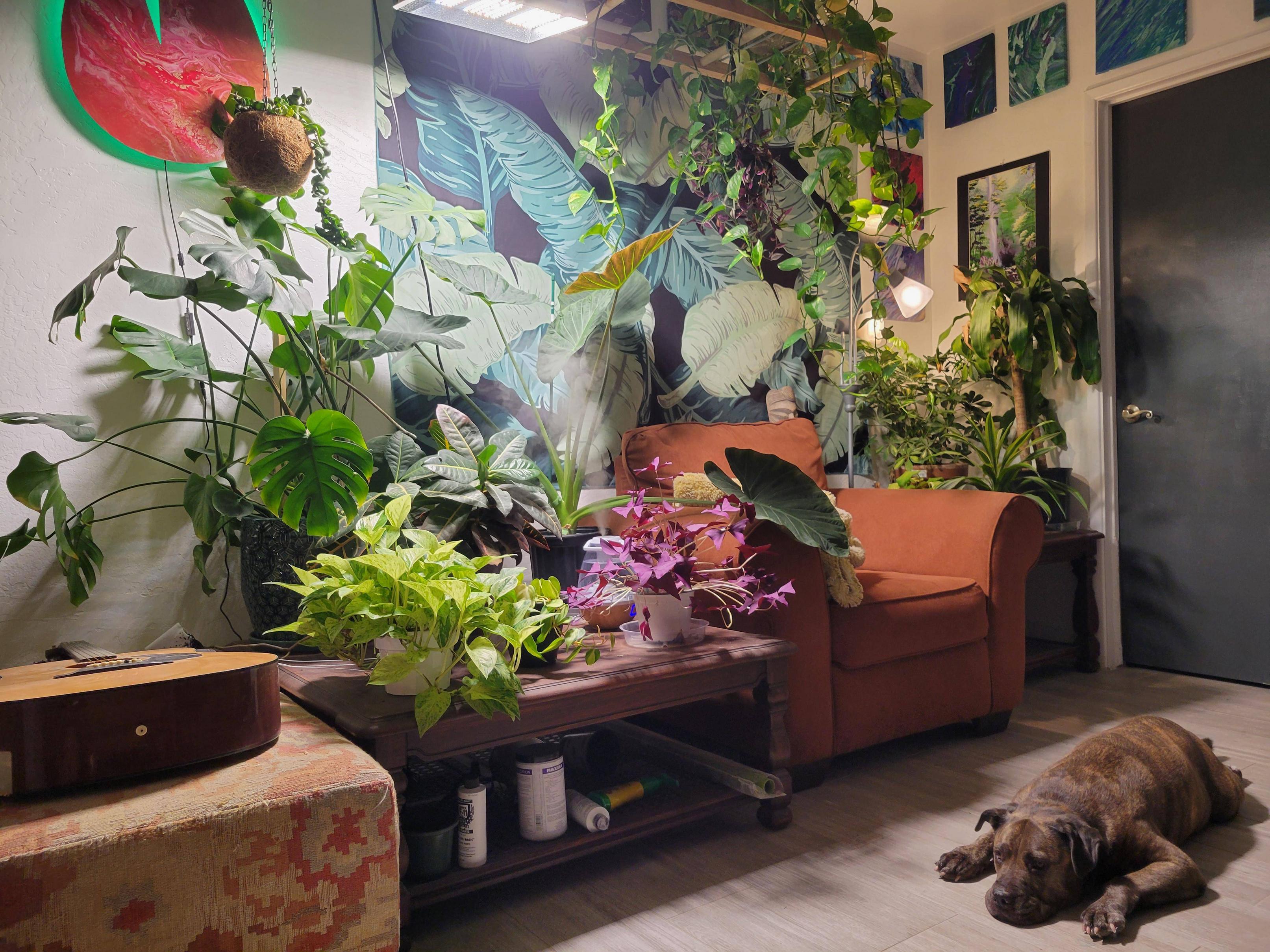 My reading/plant corner | Scrolller