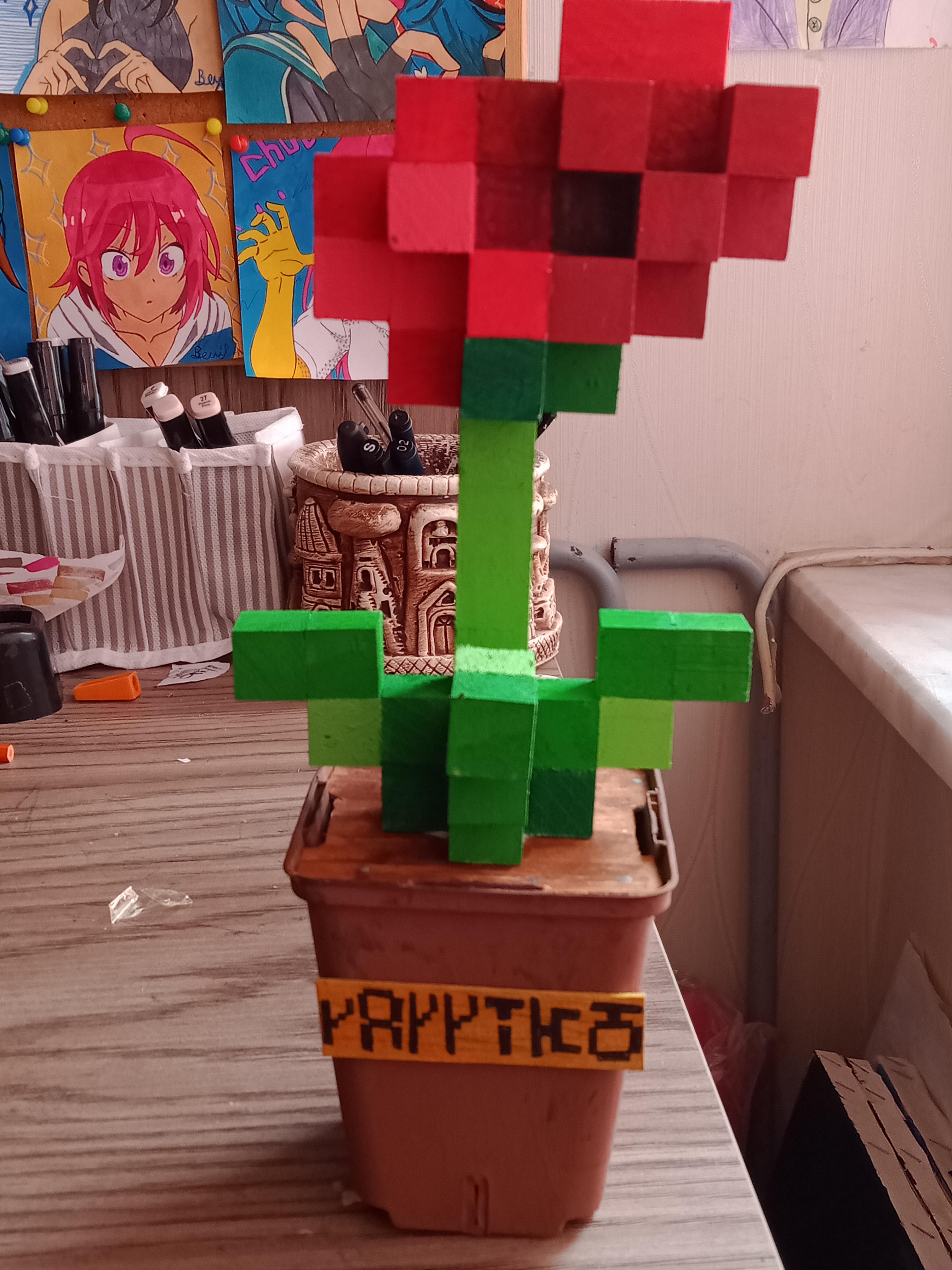 My real life poppies | Scrolller