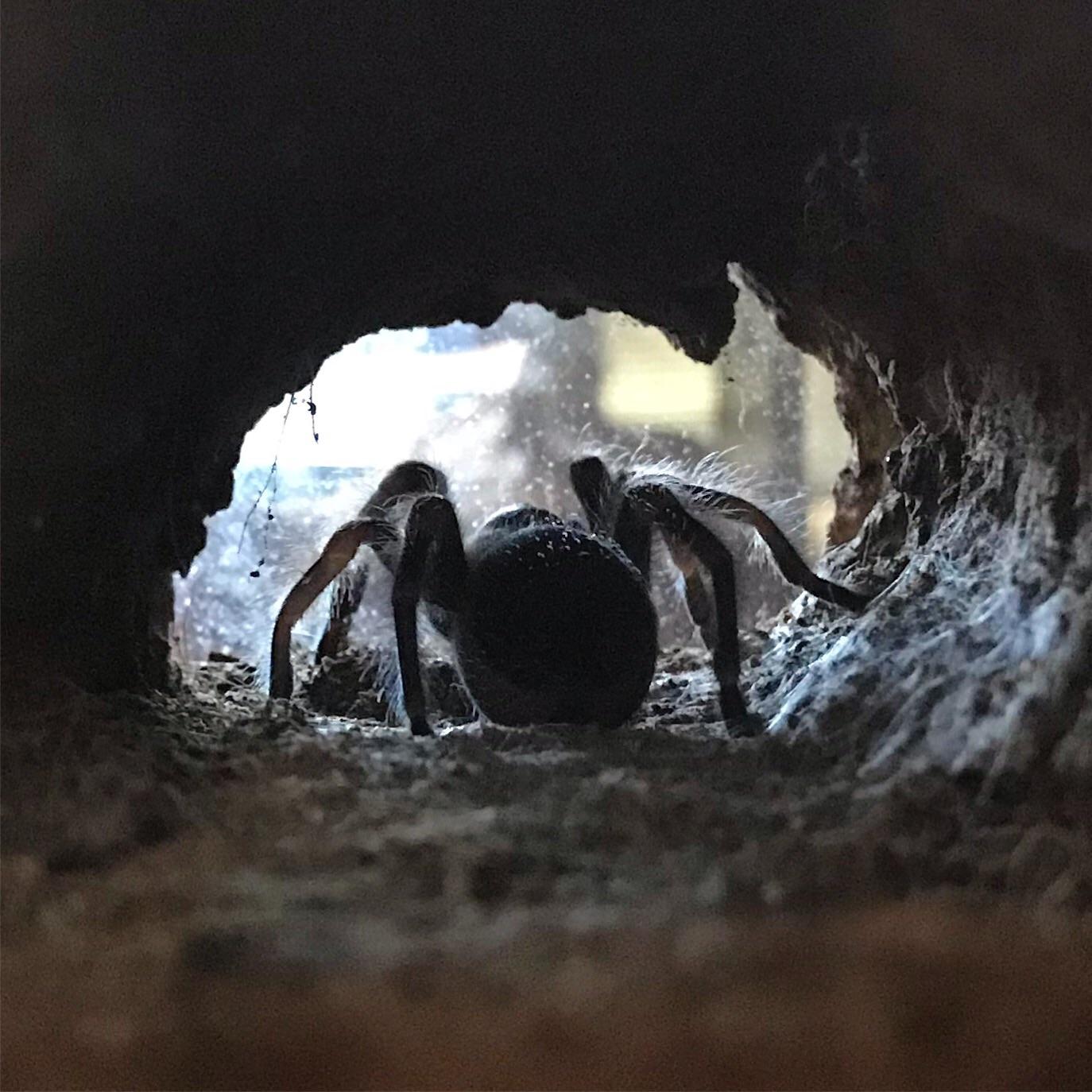 My red knee contemplating life | Scrolller