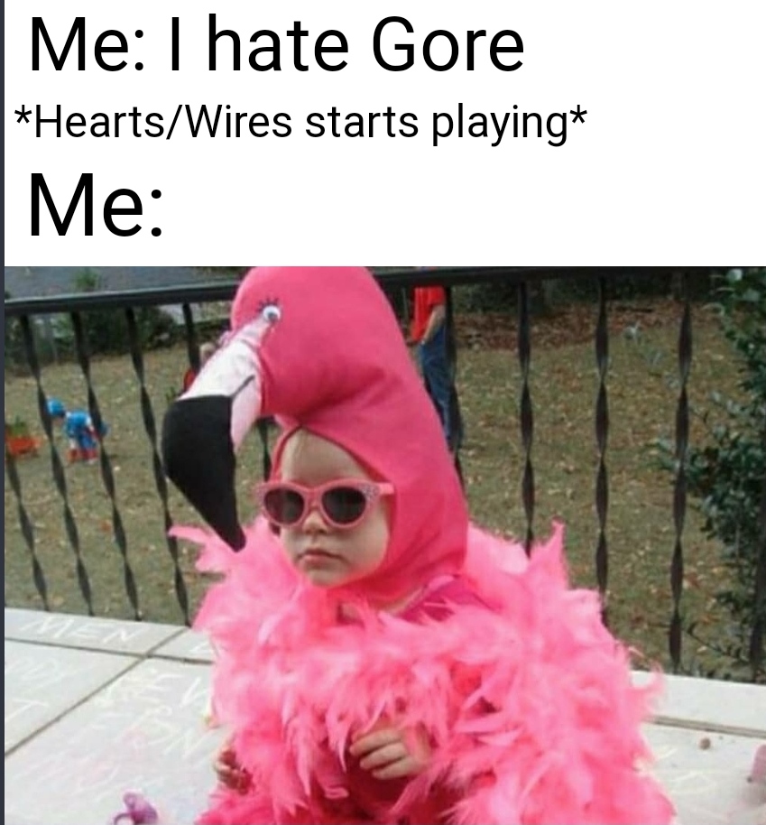 My relationship with Gore | Scrolller