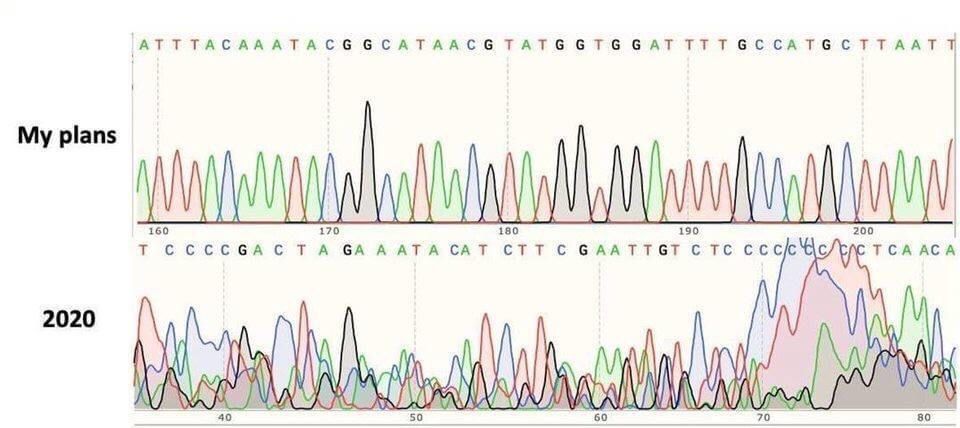 My Sequence for 2020 | Scrolller