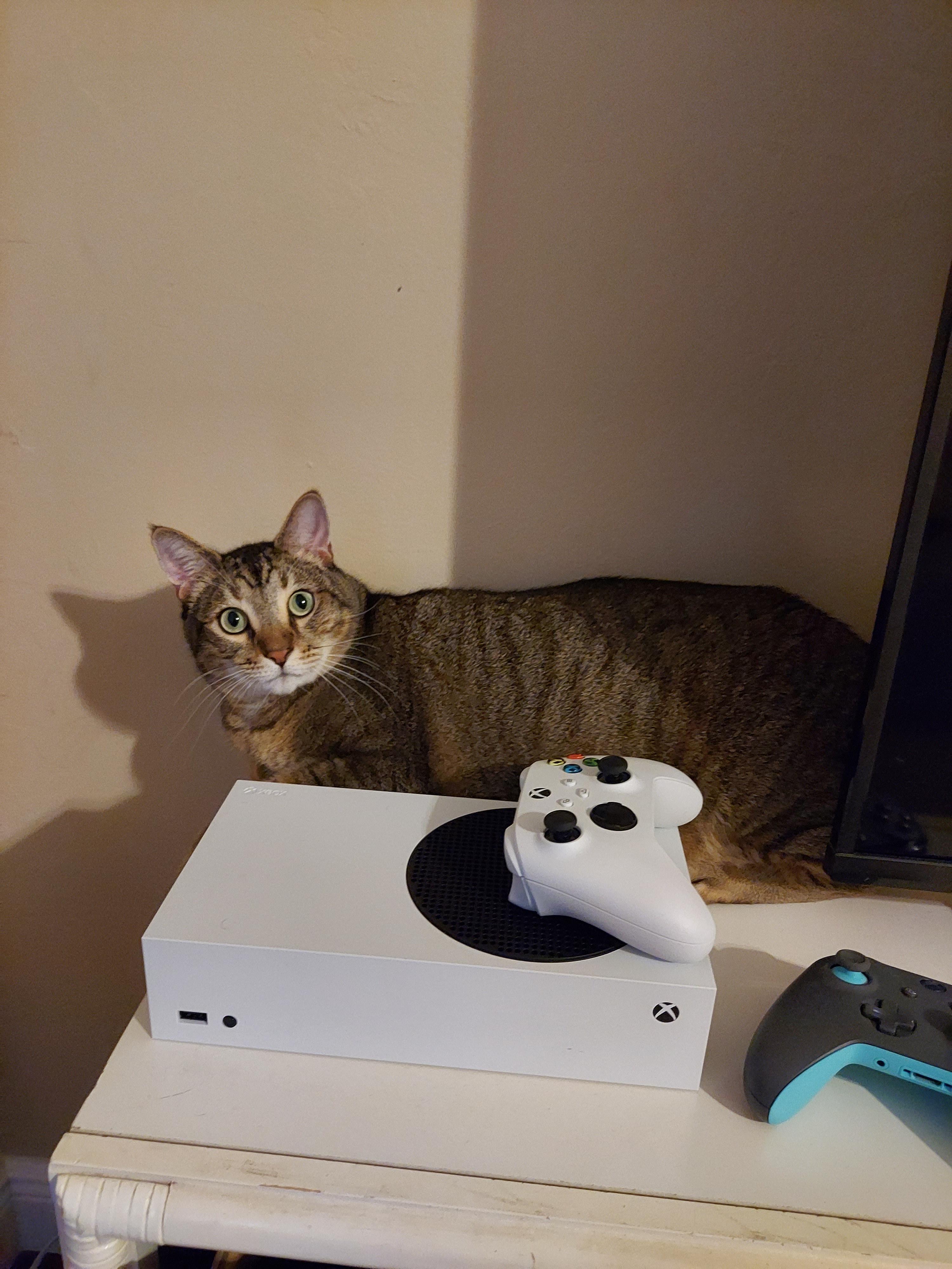 My Series S, plus chonker. | Scrolller