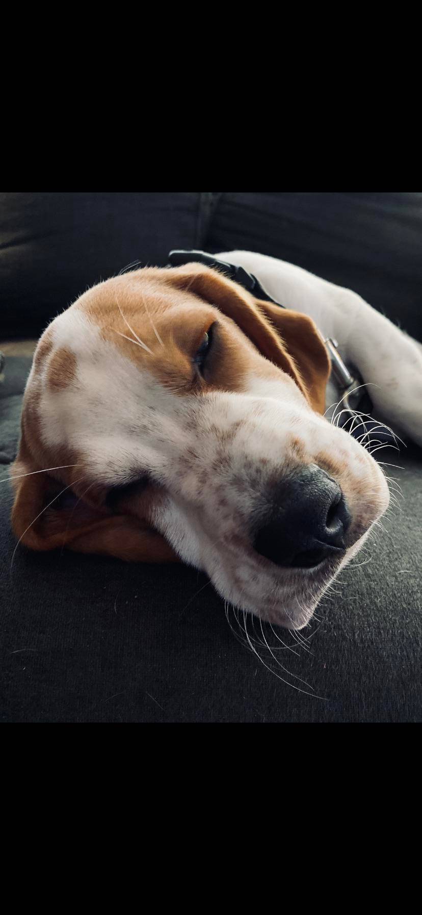 My sleepy boy. | Scrolller