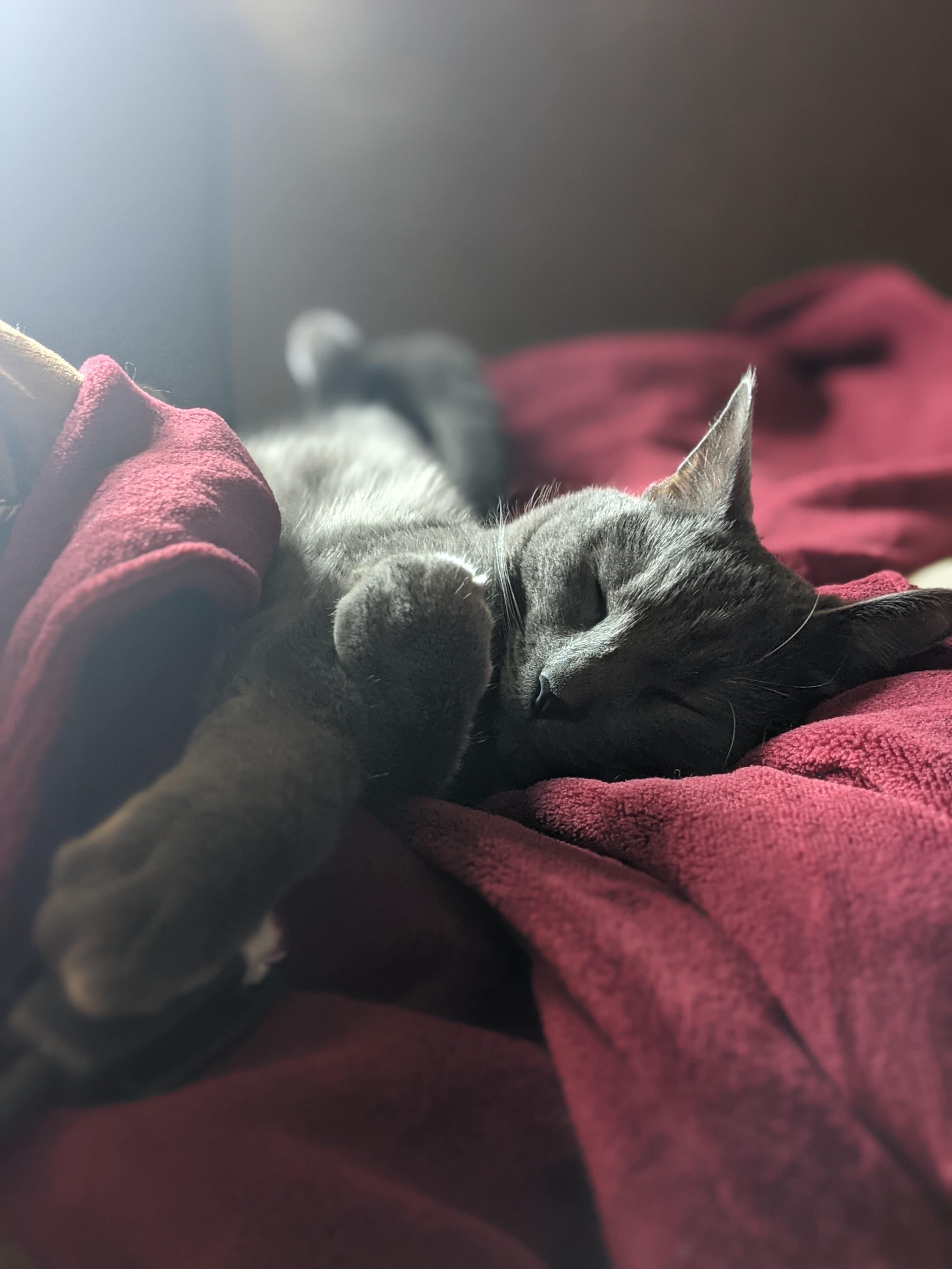 My sleepy boy | Scrolller
