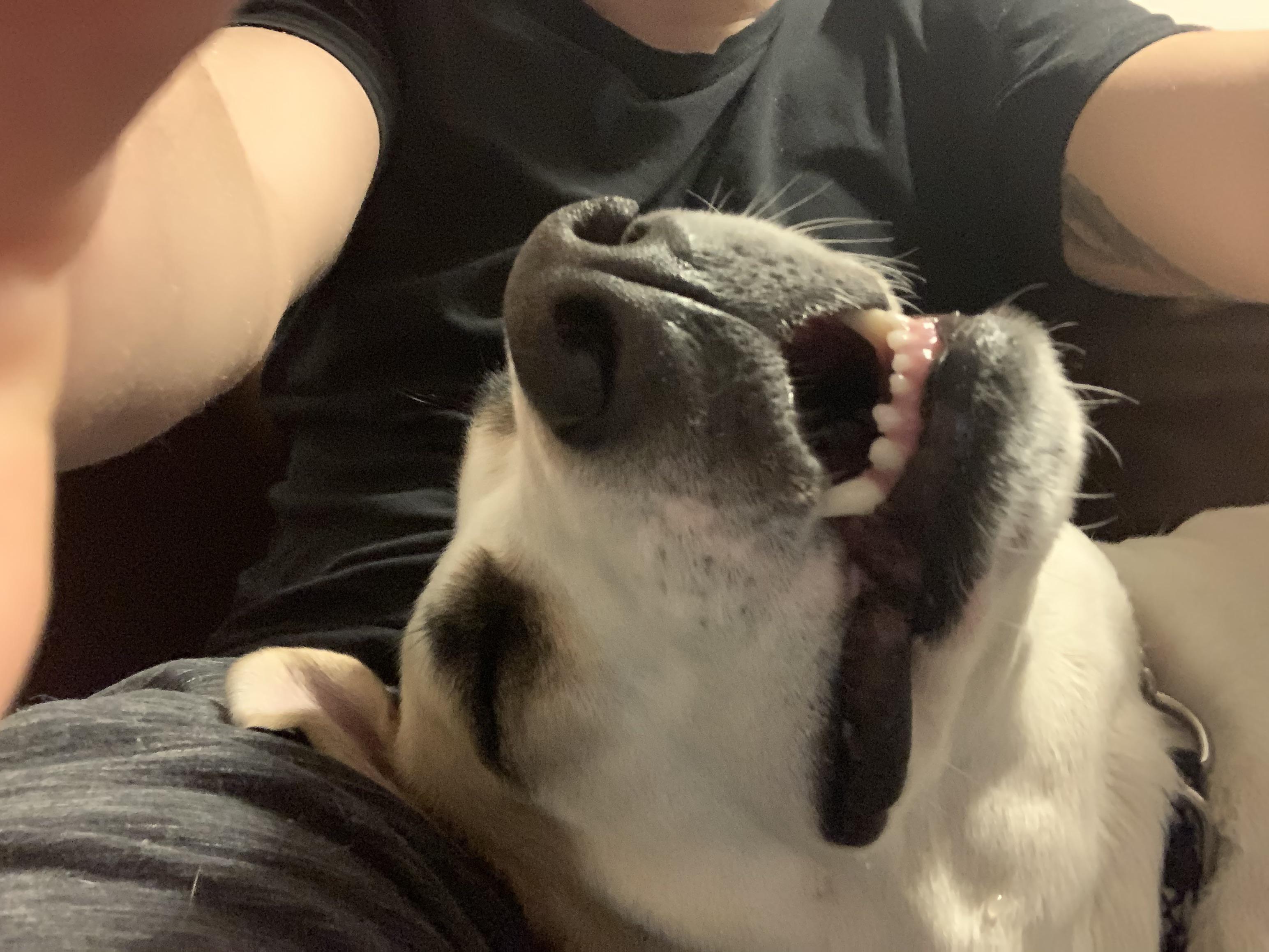 My sleepy girl ️ | Scrolller