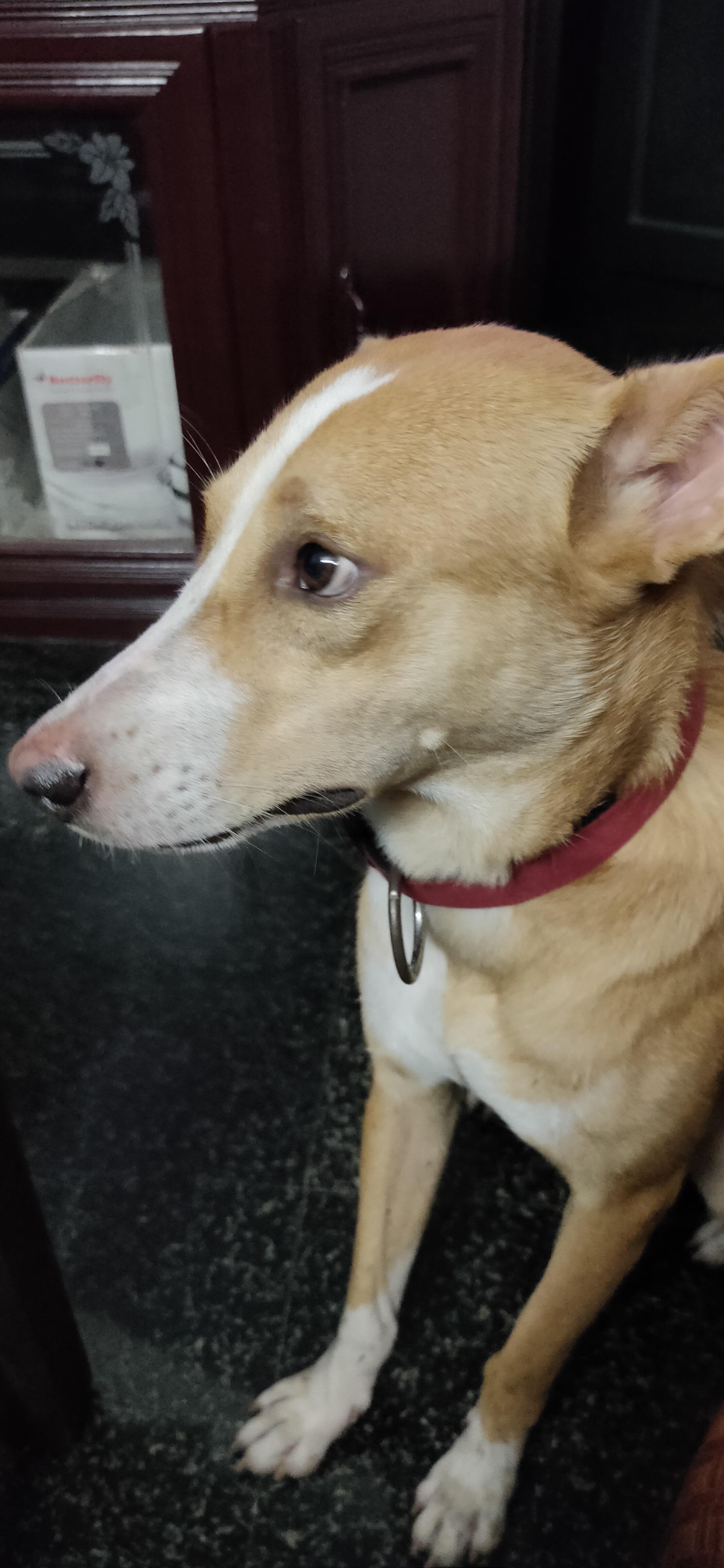 My smol long boi :) | Scrolller