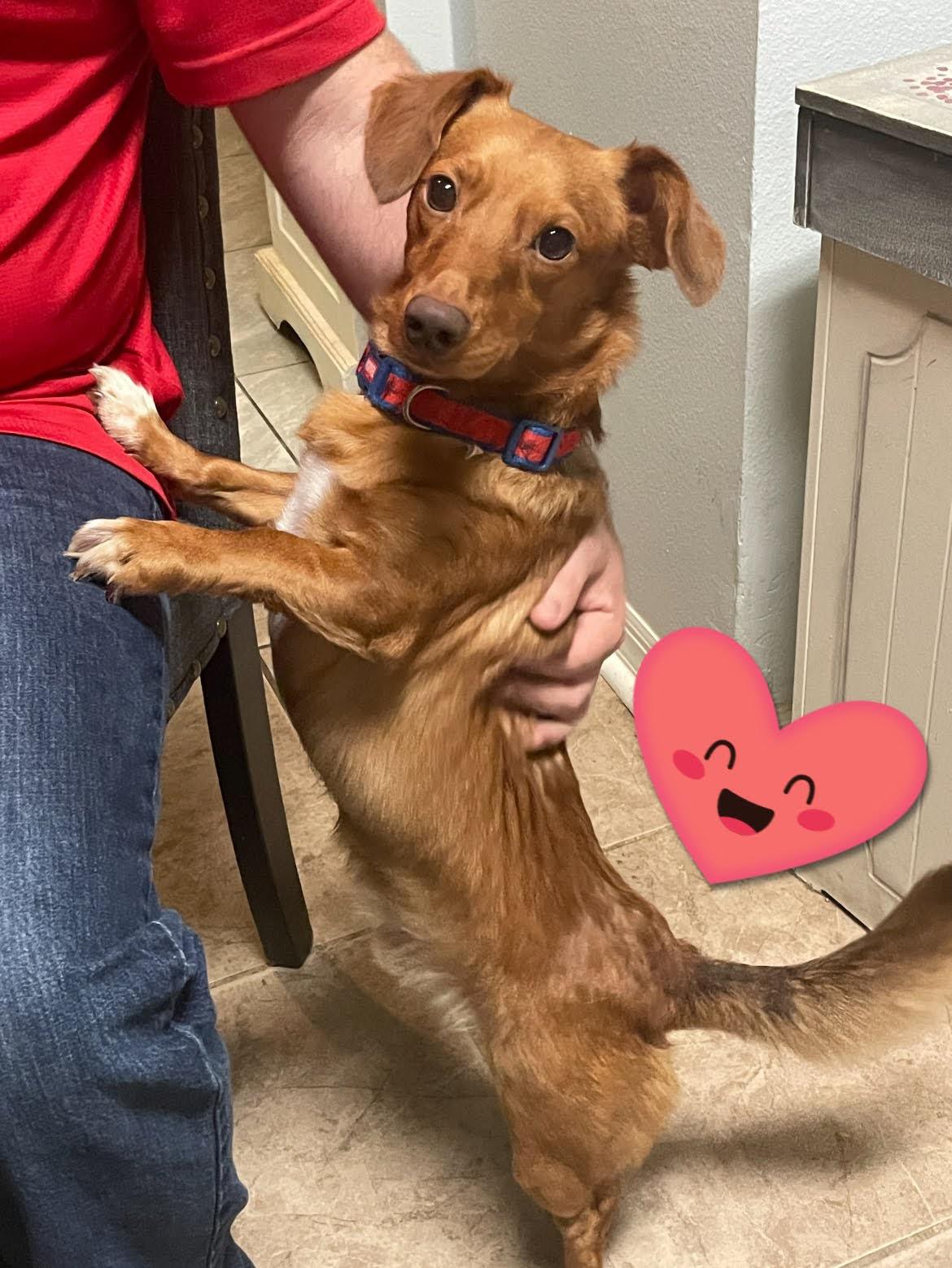 My son's playful boy. | Scrolller