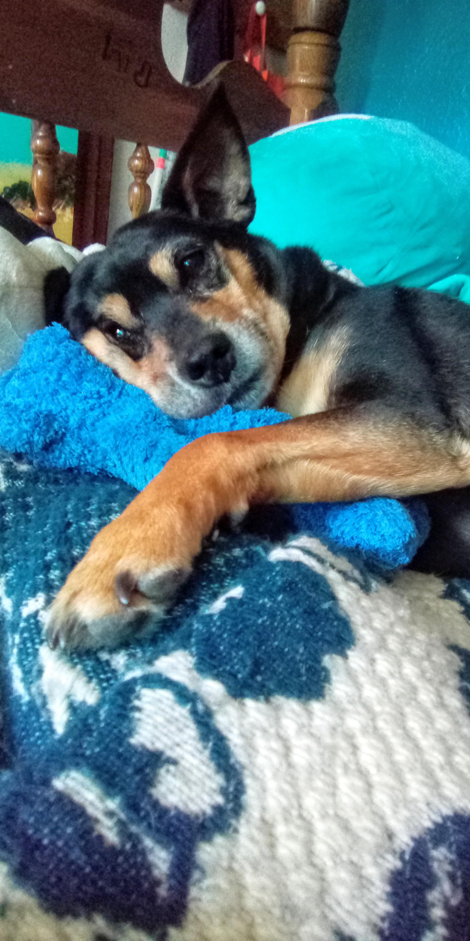 My squishy girl | Scrolller