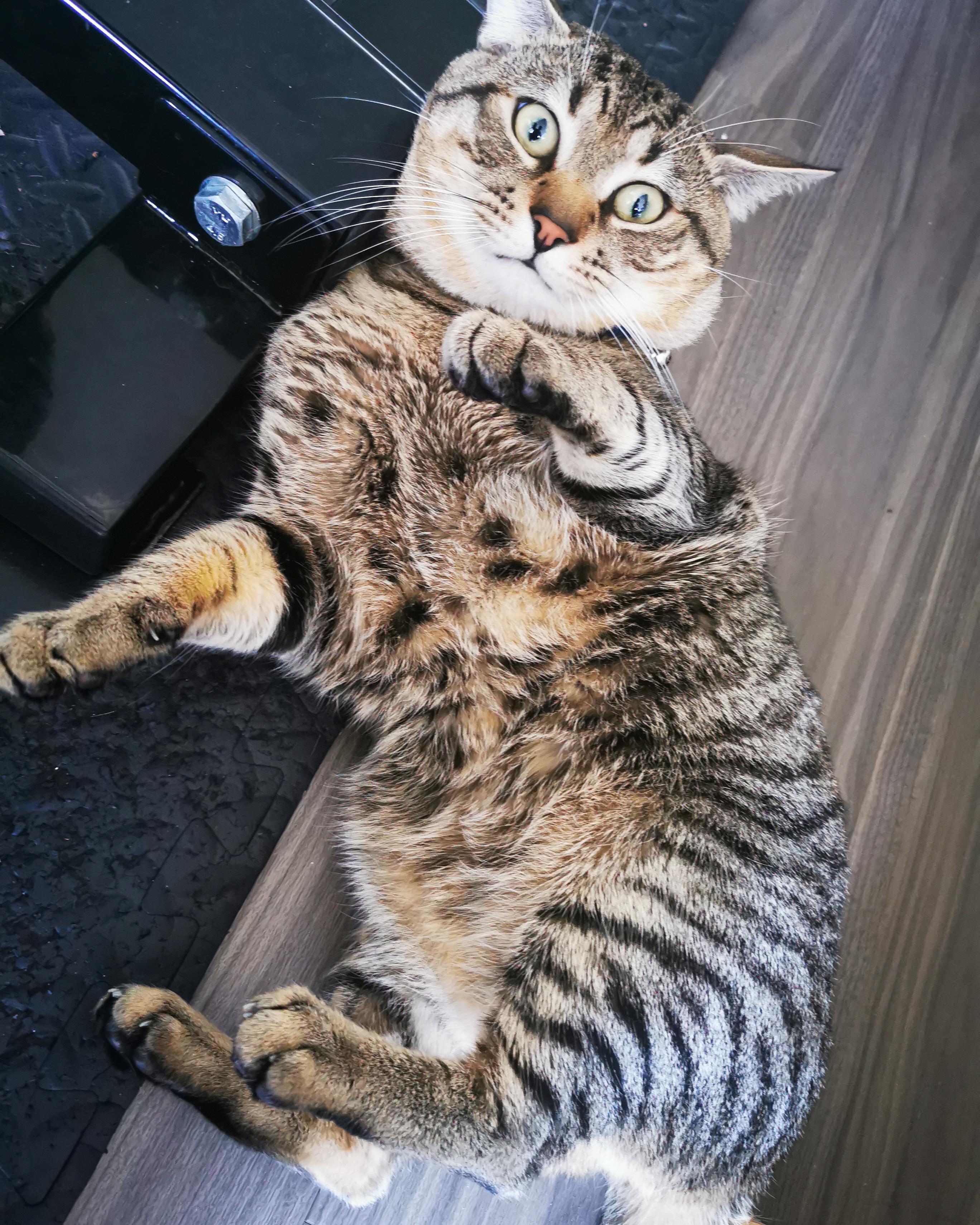 My startled little bubba. | Scrolller