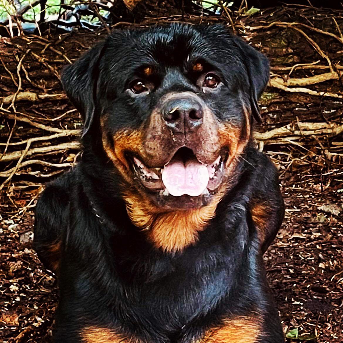 My ️ Steve | Scrolller