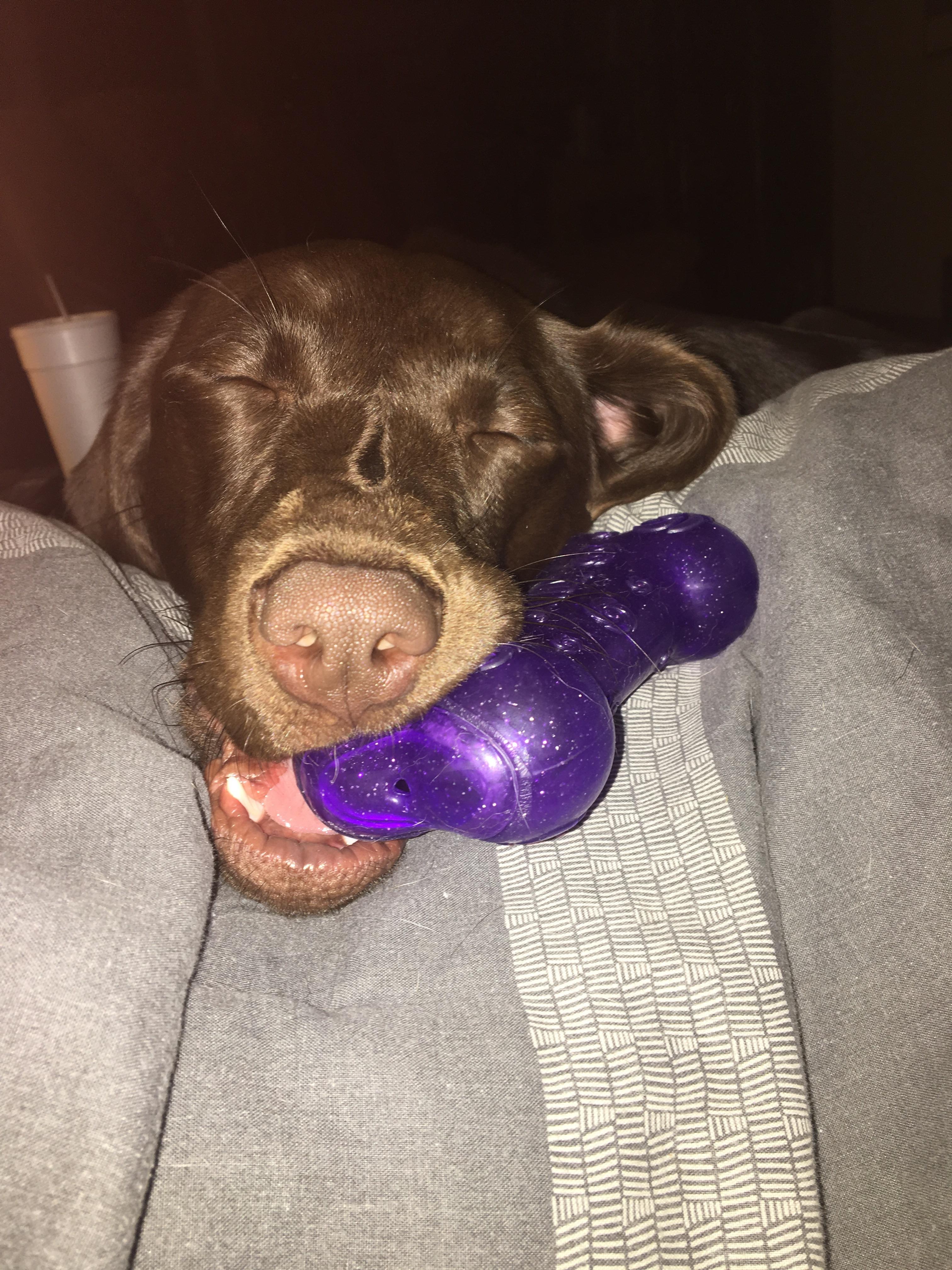 My sweet chocolate nestle | Scrolller