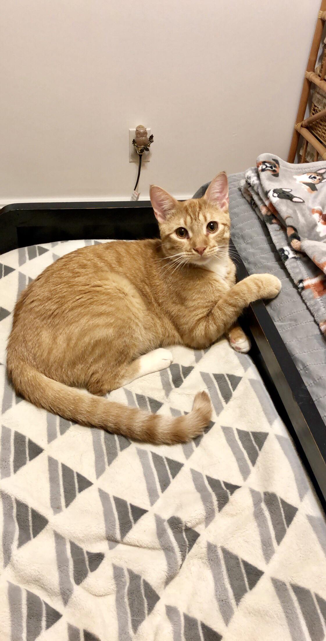 My sweet Jam ️ | Scrolller