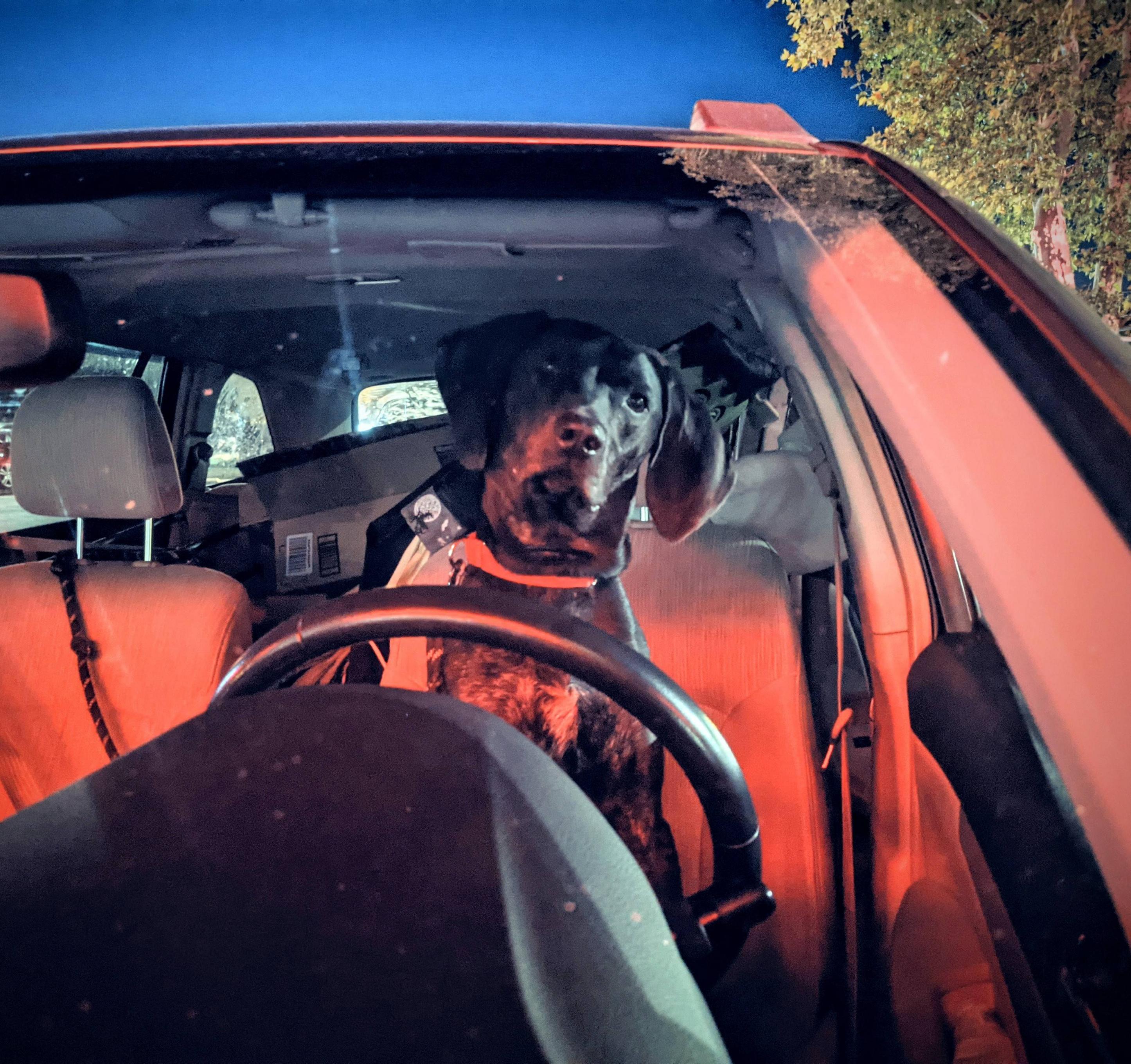 My Uber Driver is at the end of his rope | Scrolller