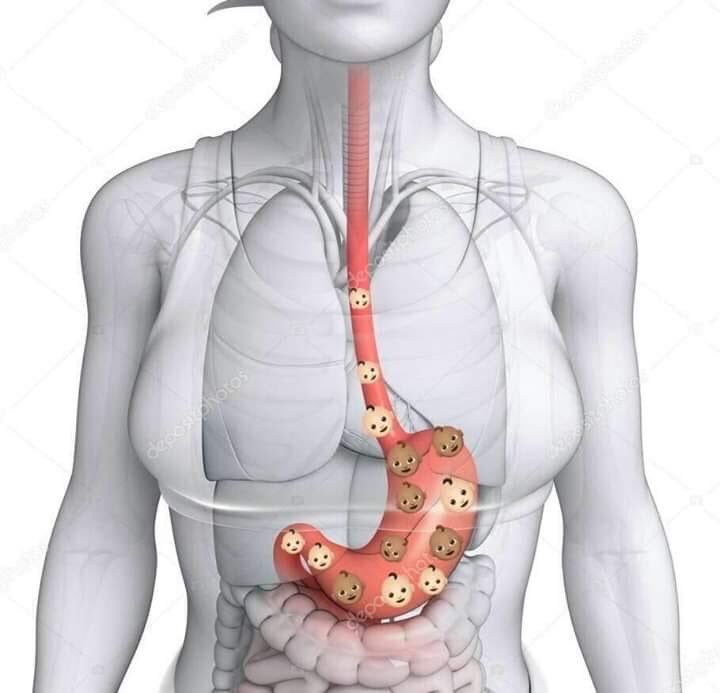 My X-rays came in | Scrolller
