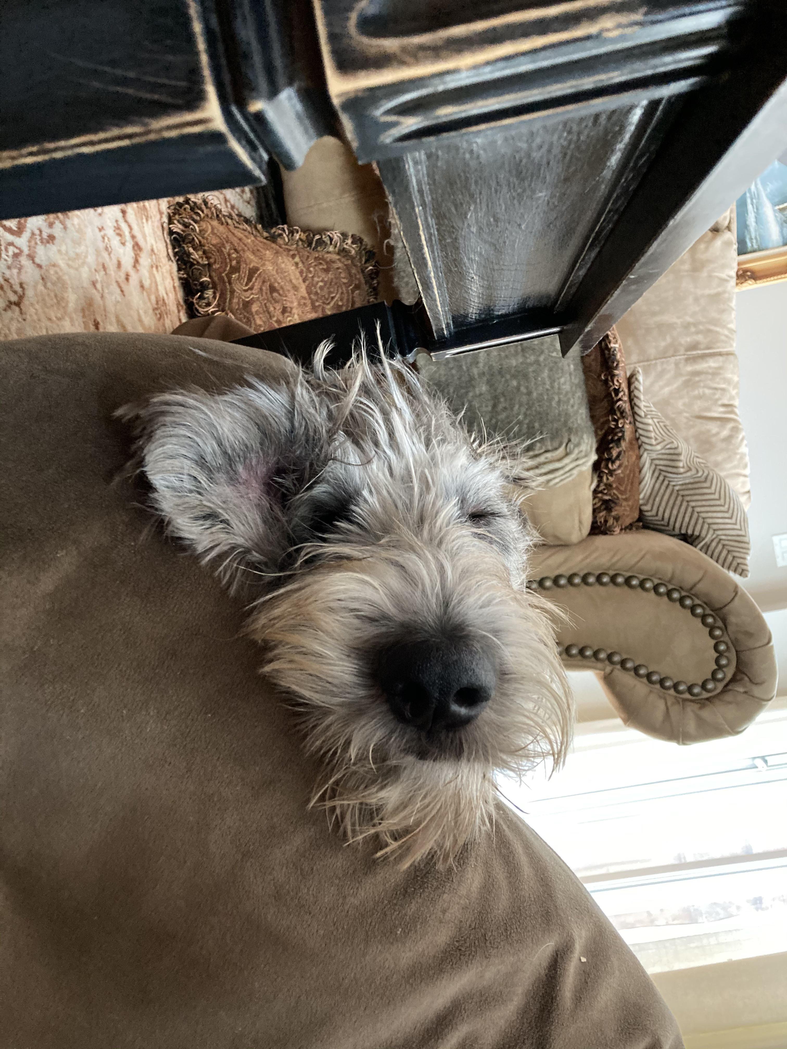 Nap time | Scrolller