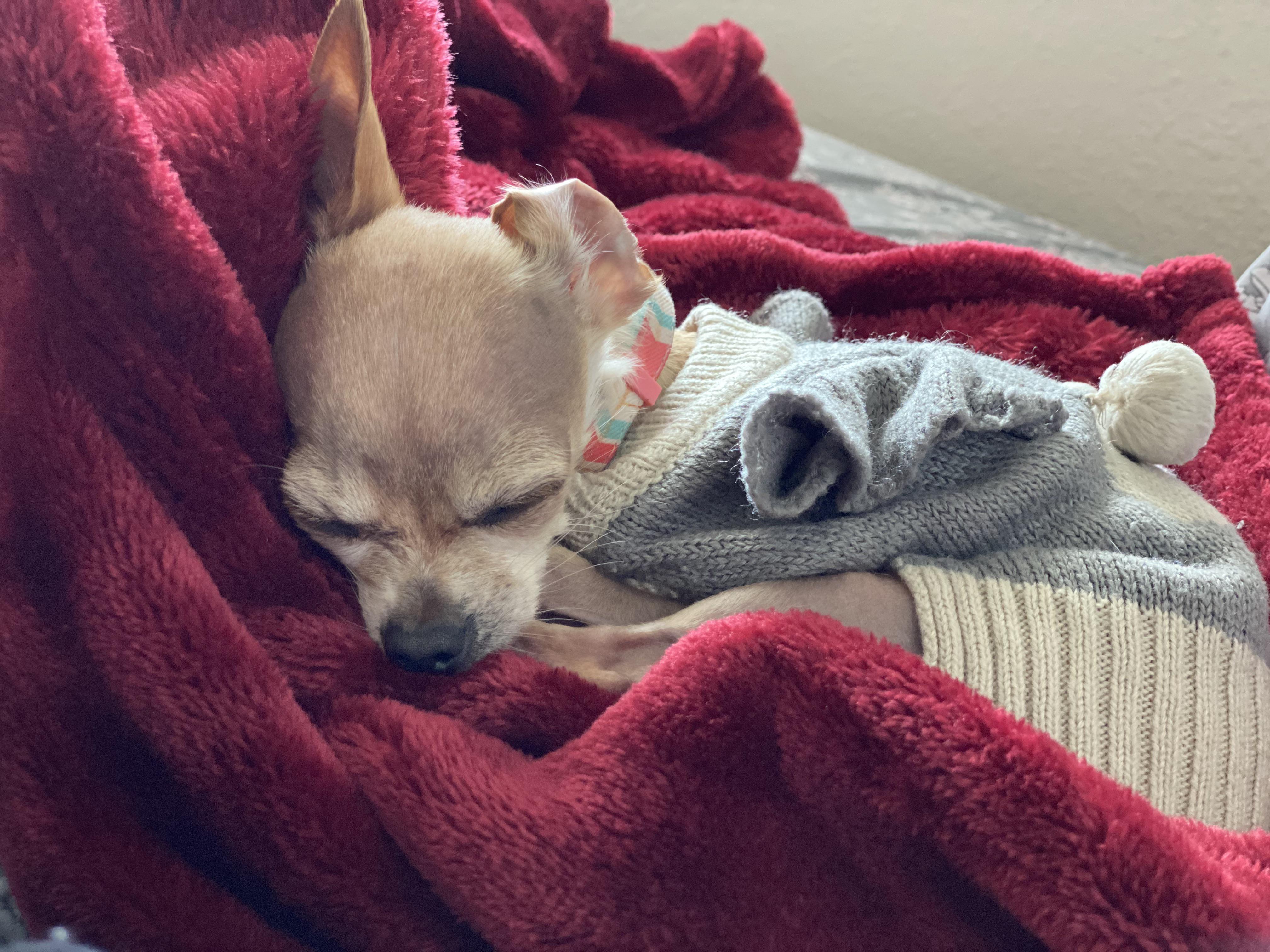 Nap time | Scrolller