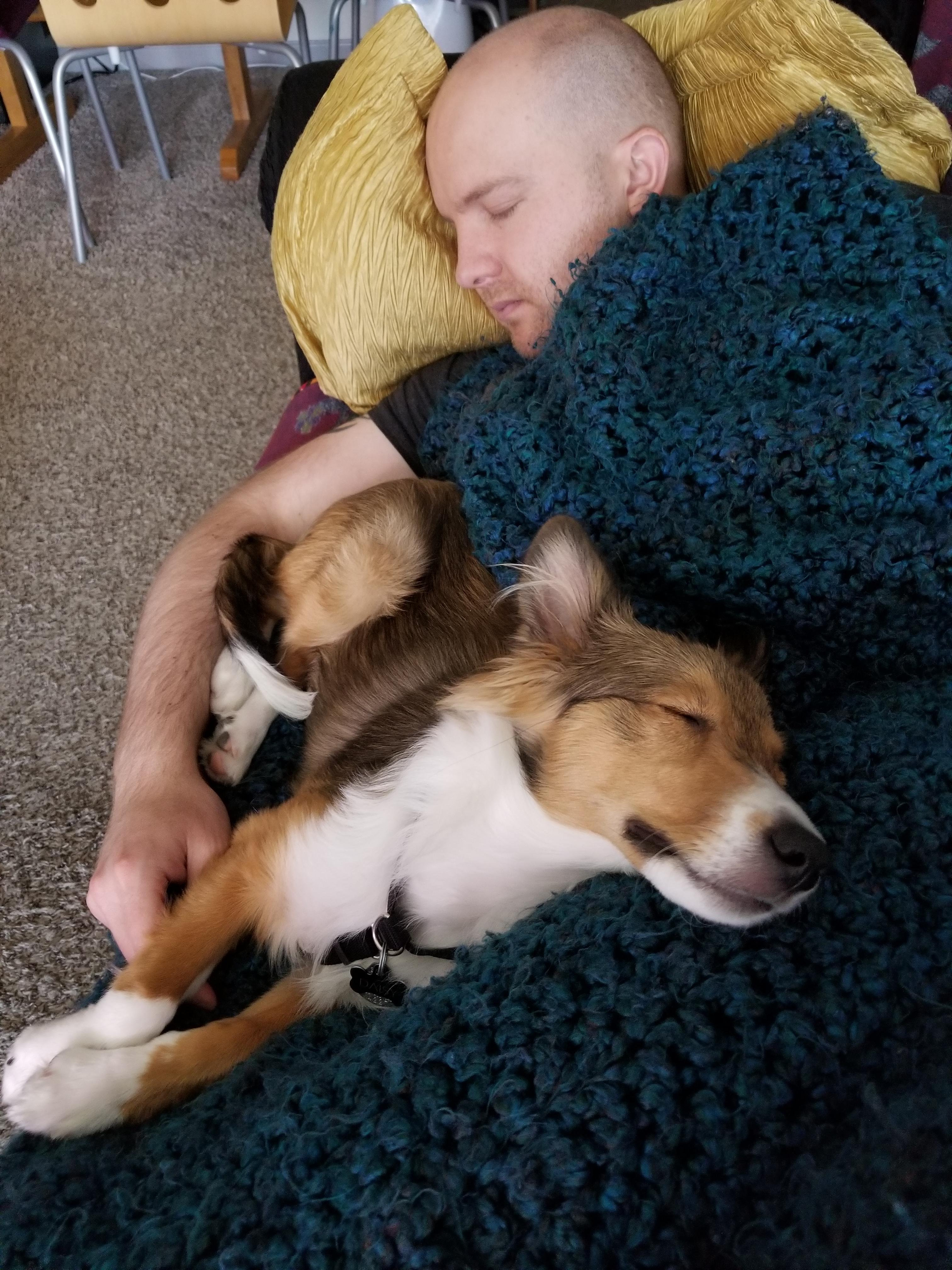 Naps all around | Scrolller