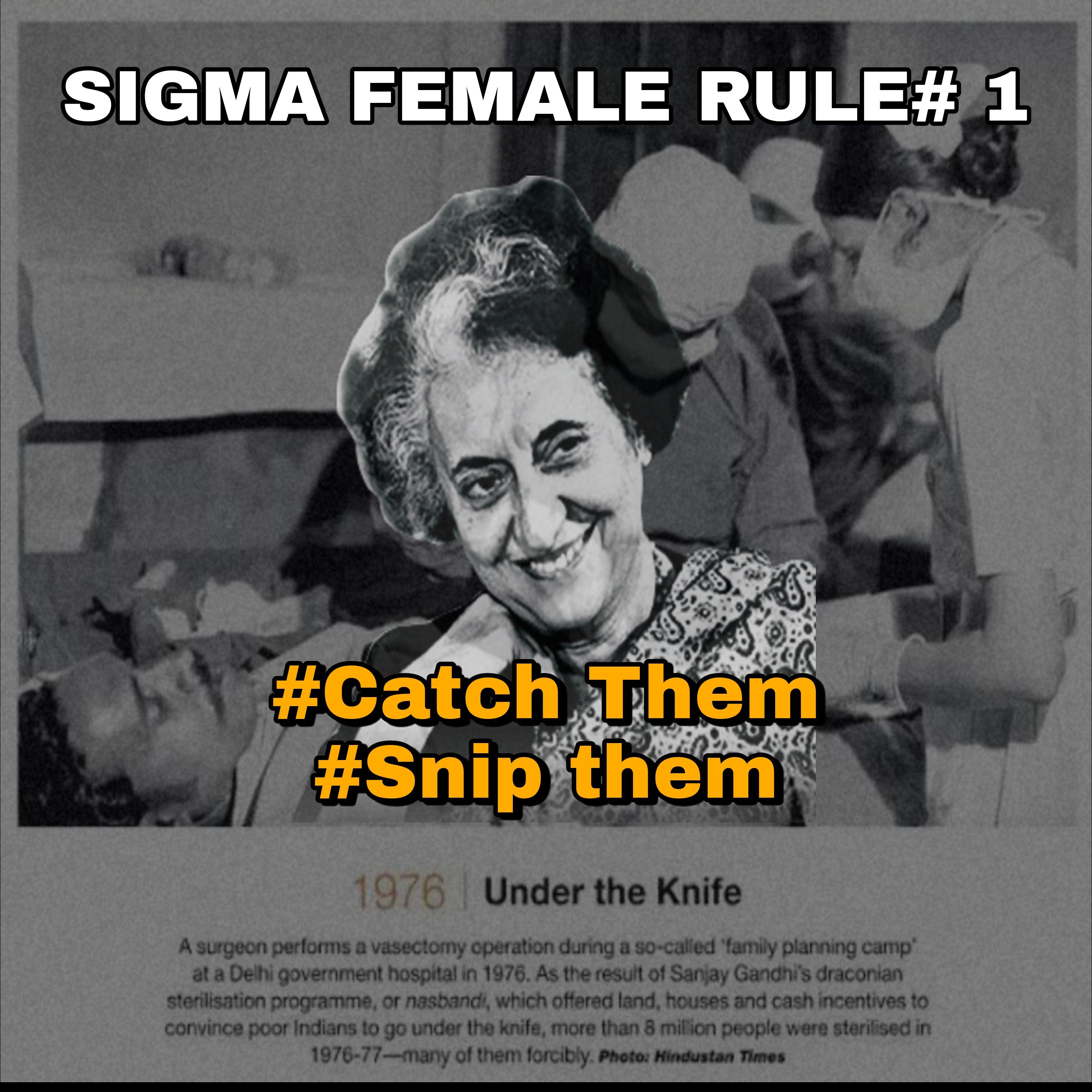 Nasbandi op | Scrolller