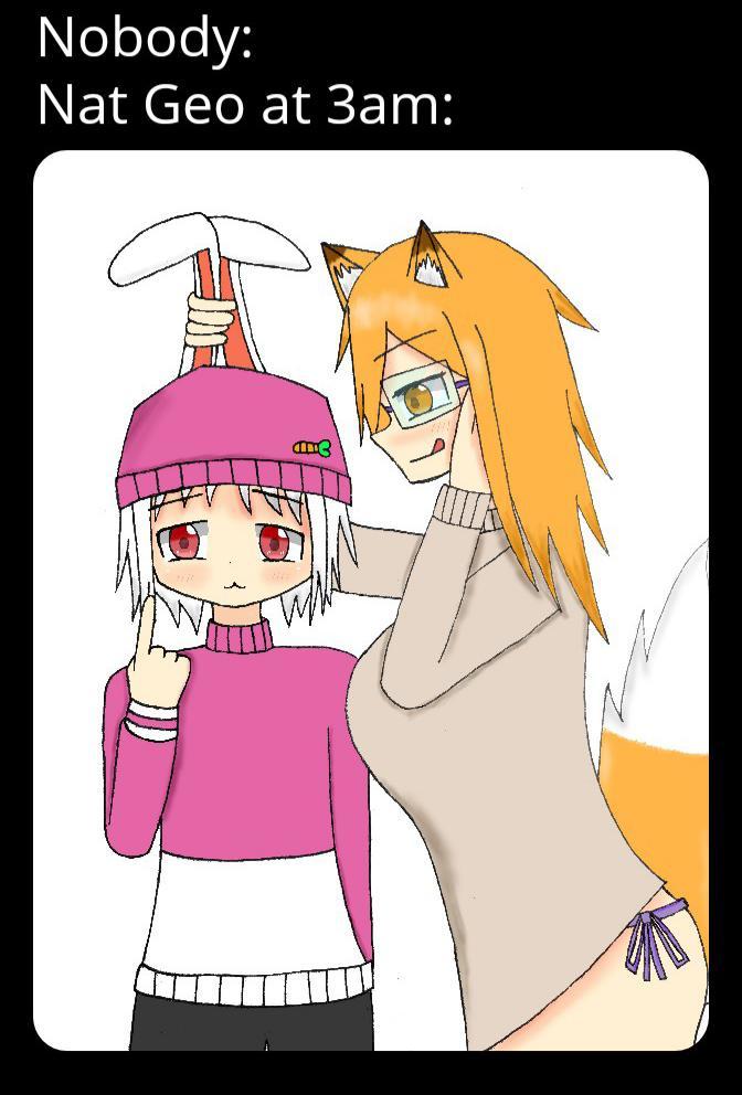 Nat Geo at 3am [OC] | Scrolller