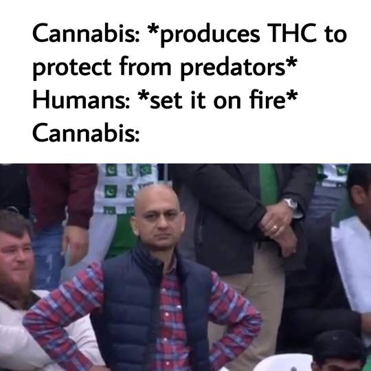 Natural selection at its finest | Scrolller