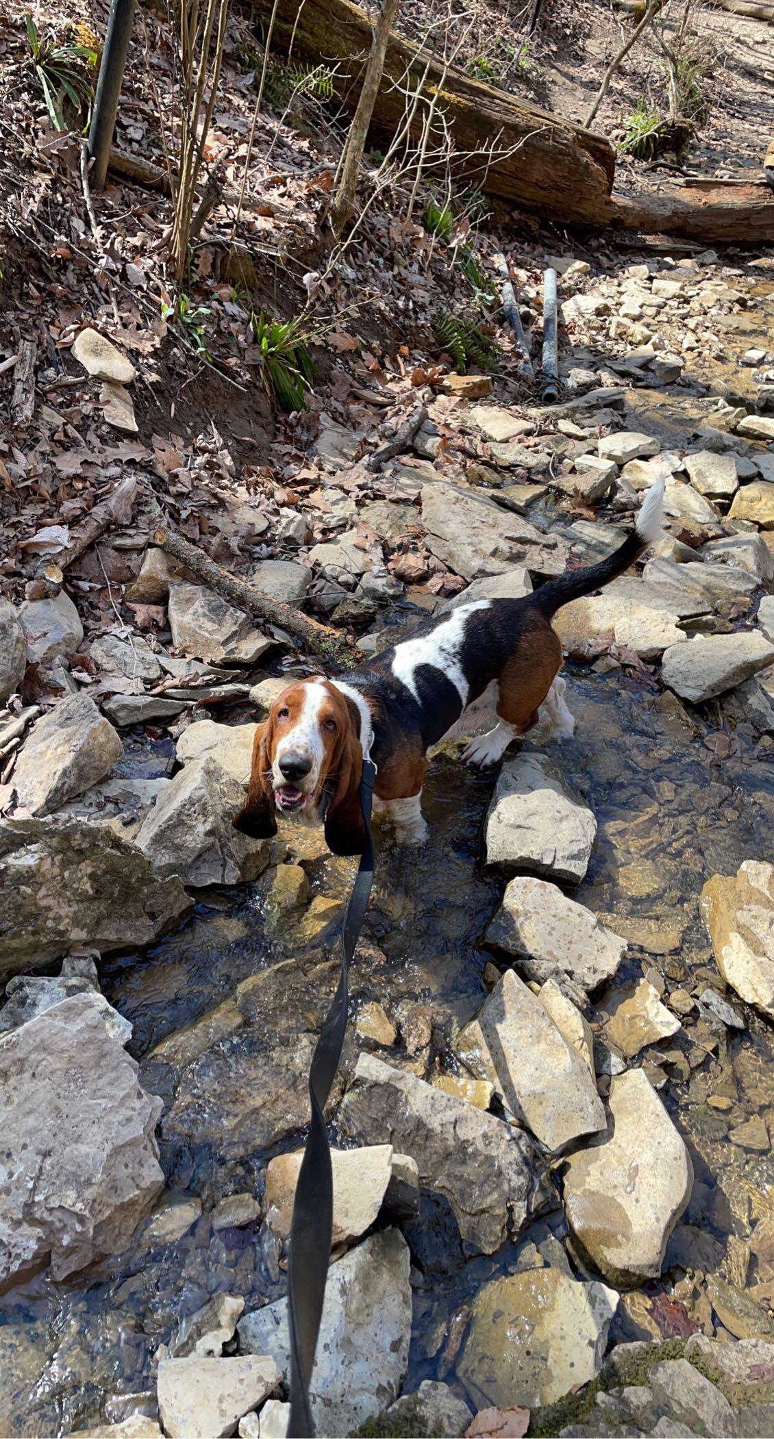 Nature boy | Scrolller