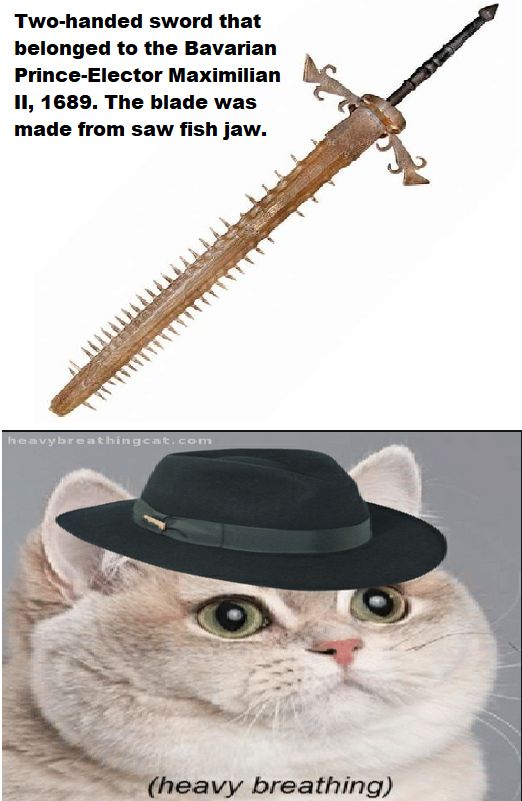 Neckbeard`s ultimate sword! | Scrolller