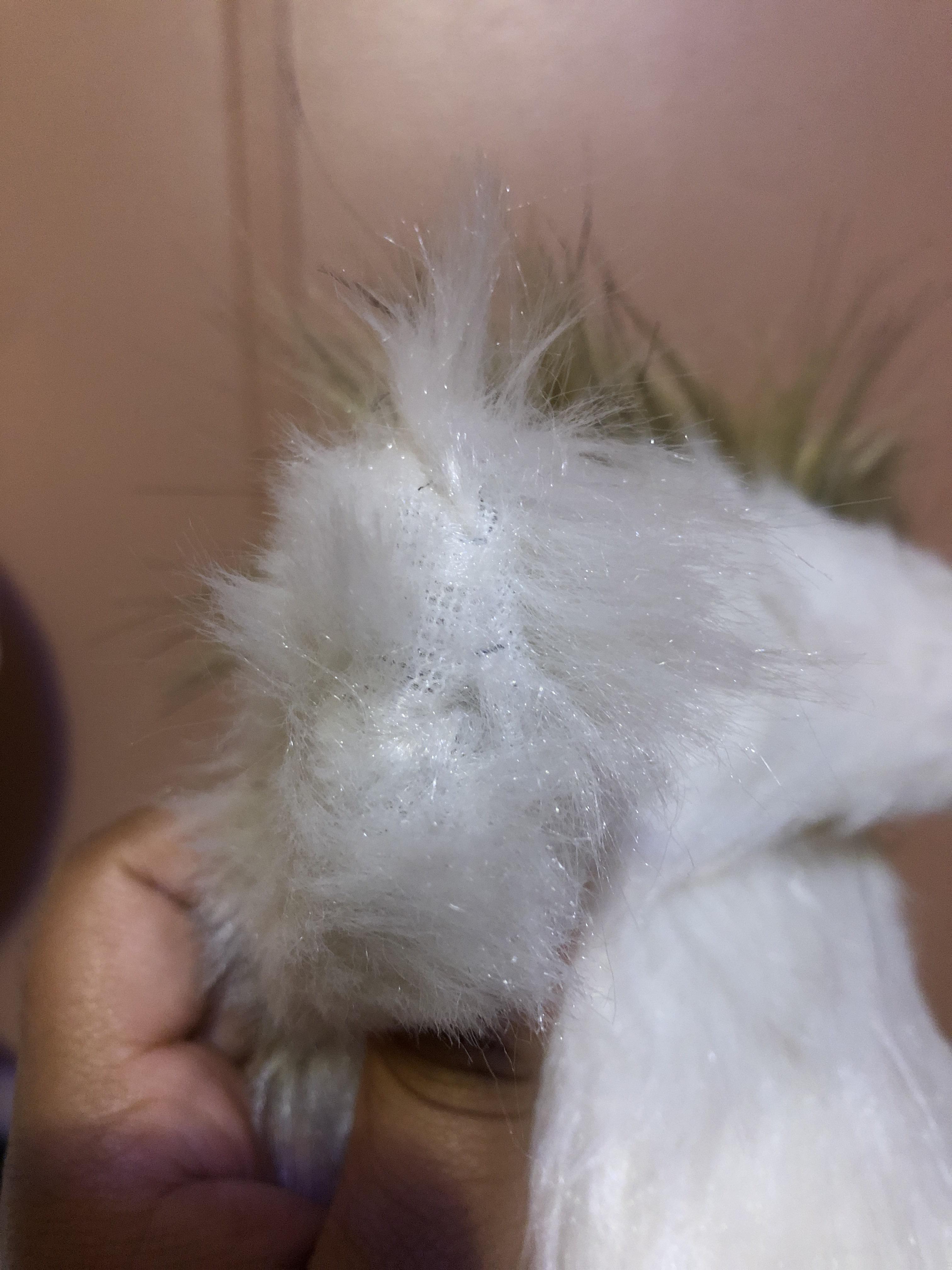 Need More Help With Paws | Scrolller