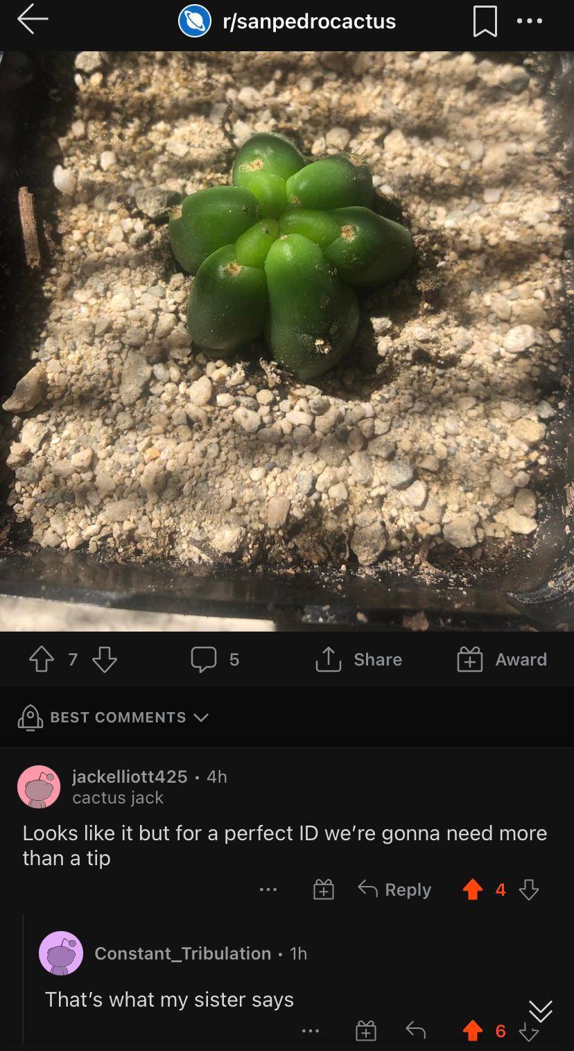 Need more than the tip to ID? | Scrolller