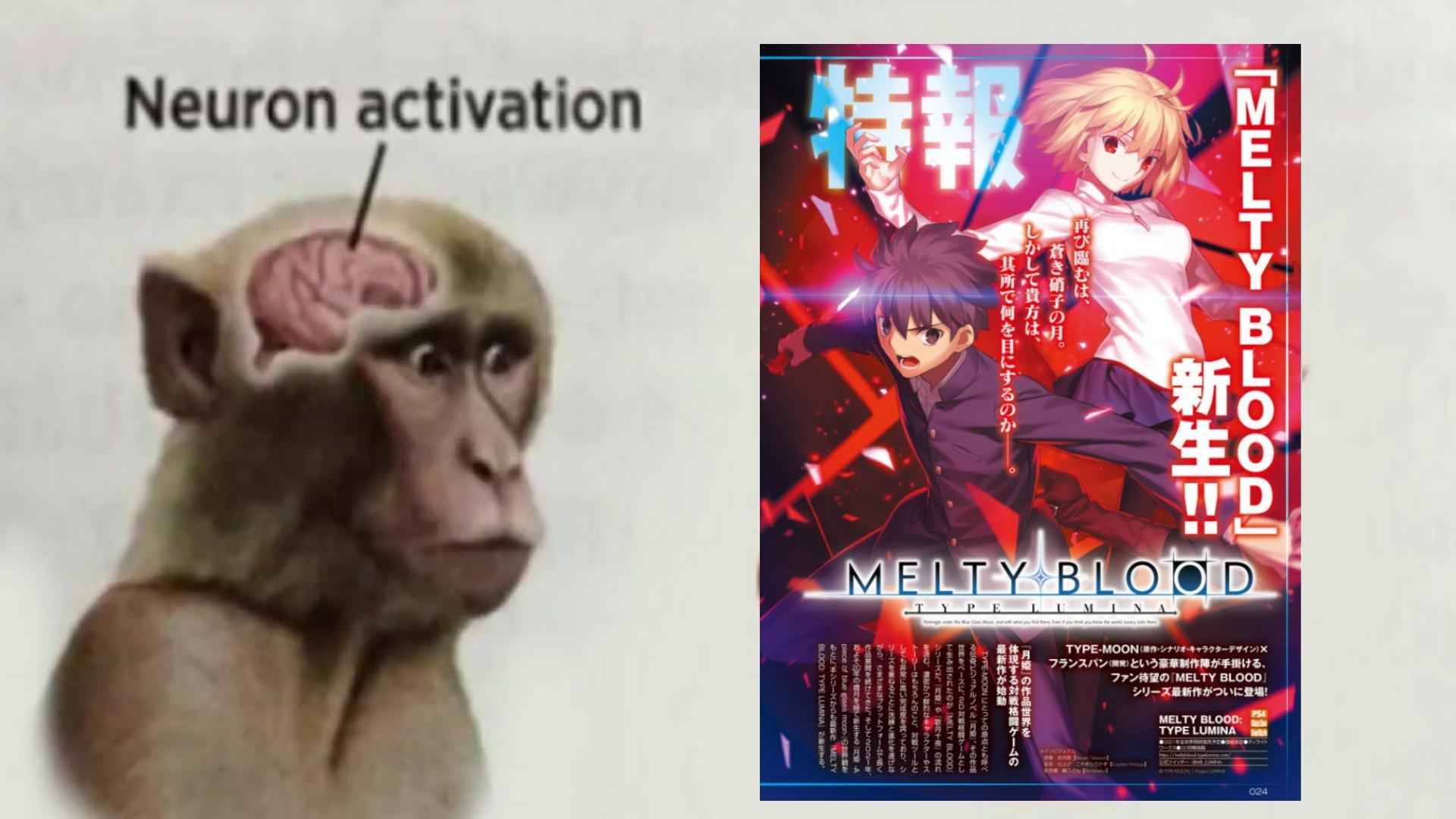 Neuron activation | Scrolller