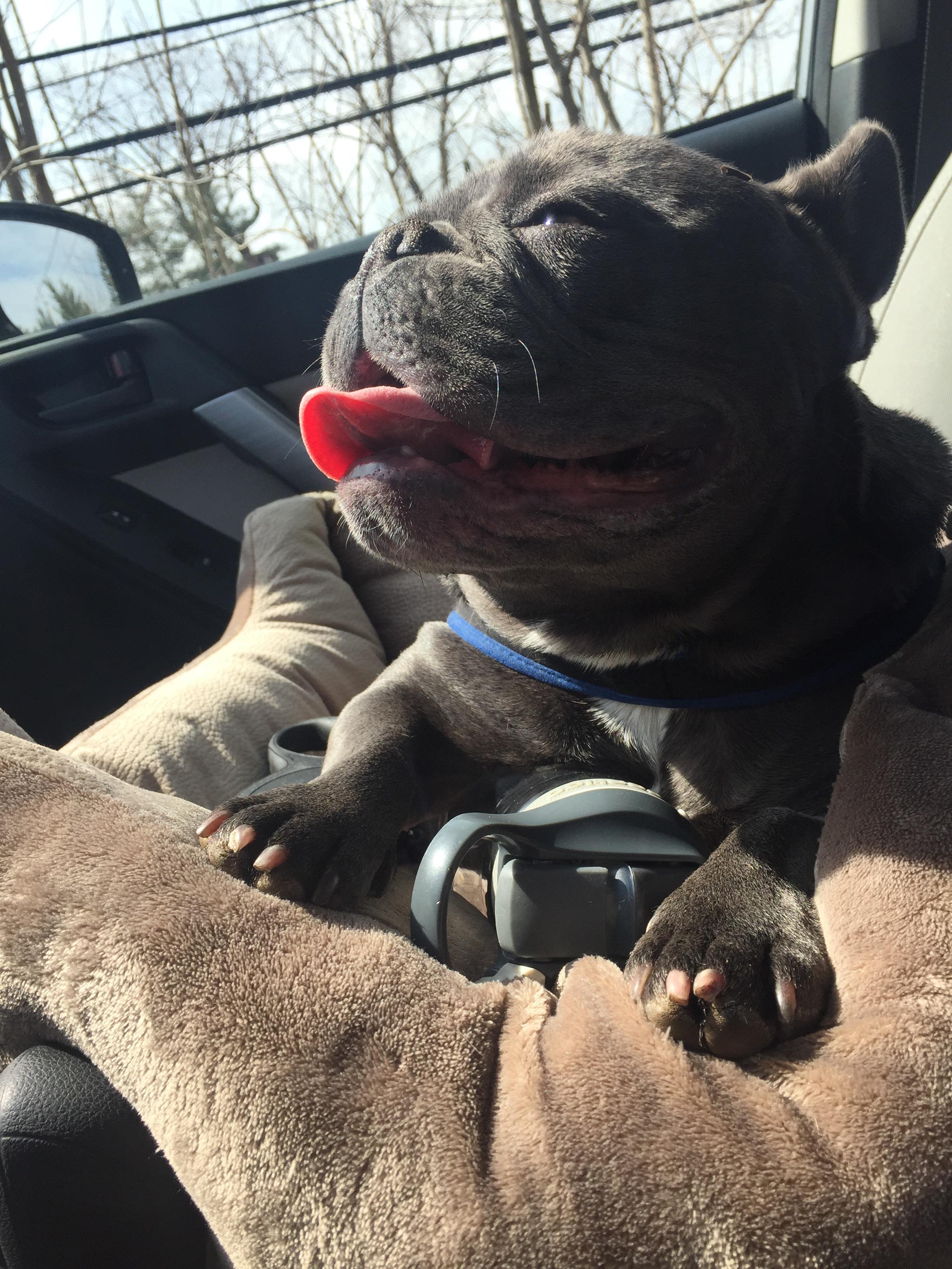 never not smiling | Scrolller