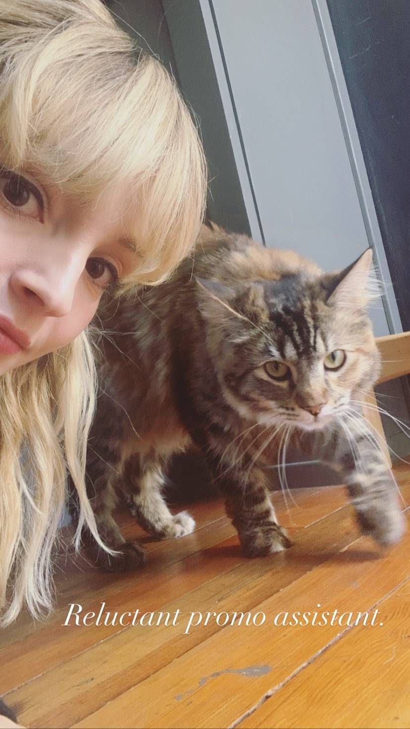 New Assistant? | Scrolller