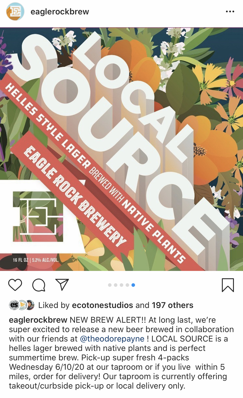 New beer brewed with Native Plants from Theodore Payne + Eagle Rock Brewery! | Scrolller