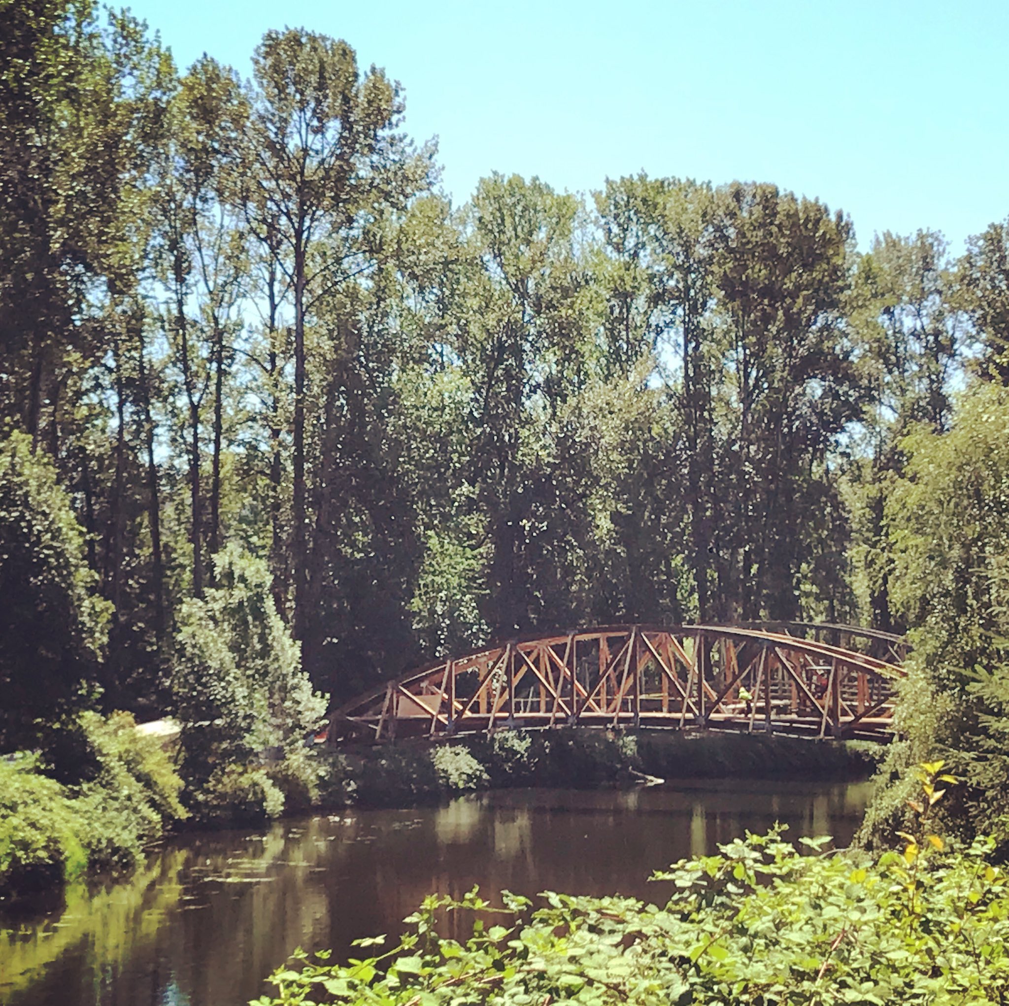 New bridge looking good 👀 | Scrolller