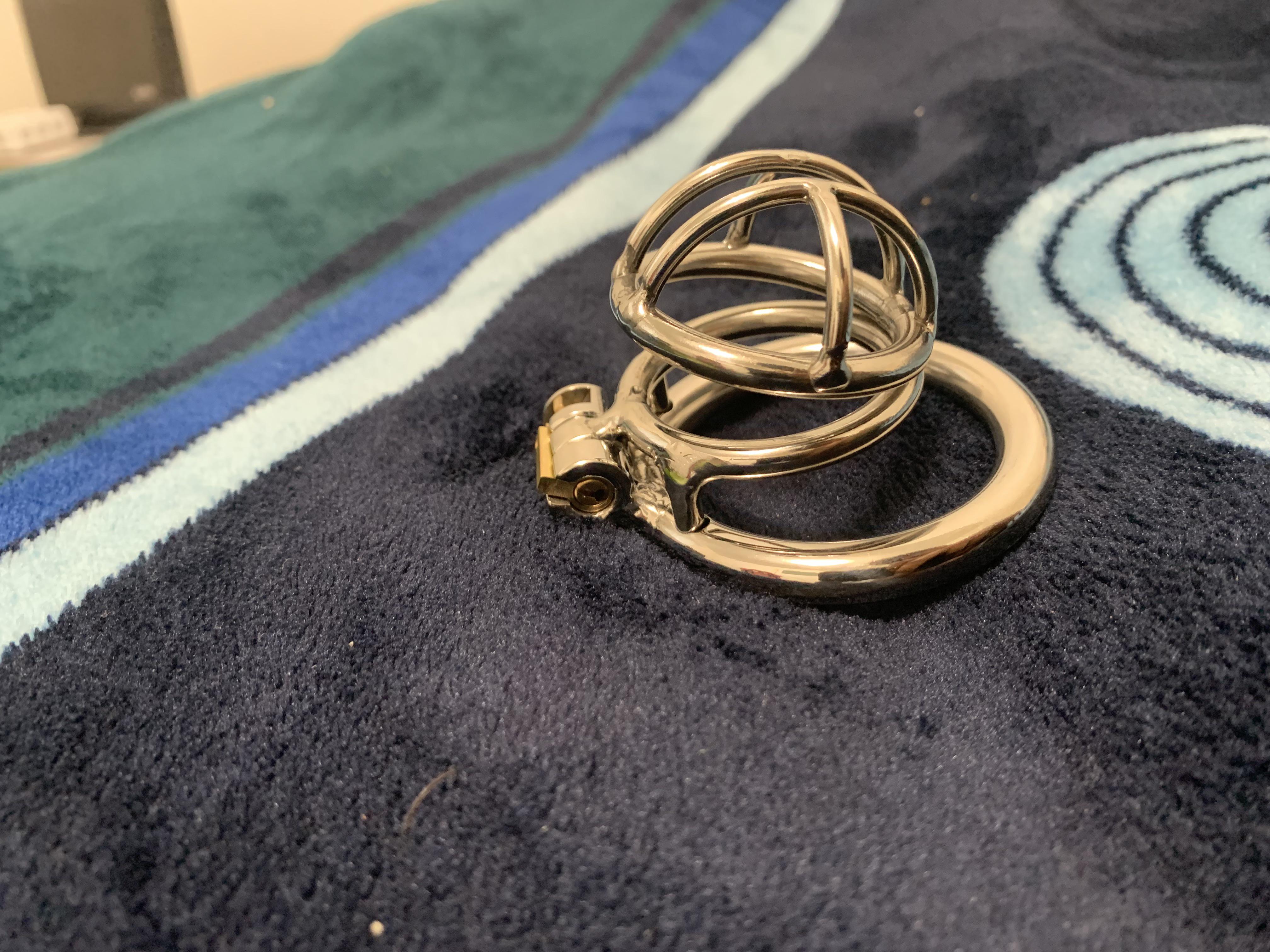 New cage is in 🤗 | Scrolller