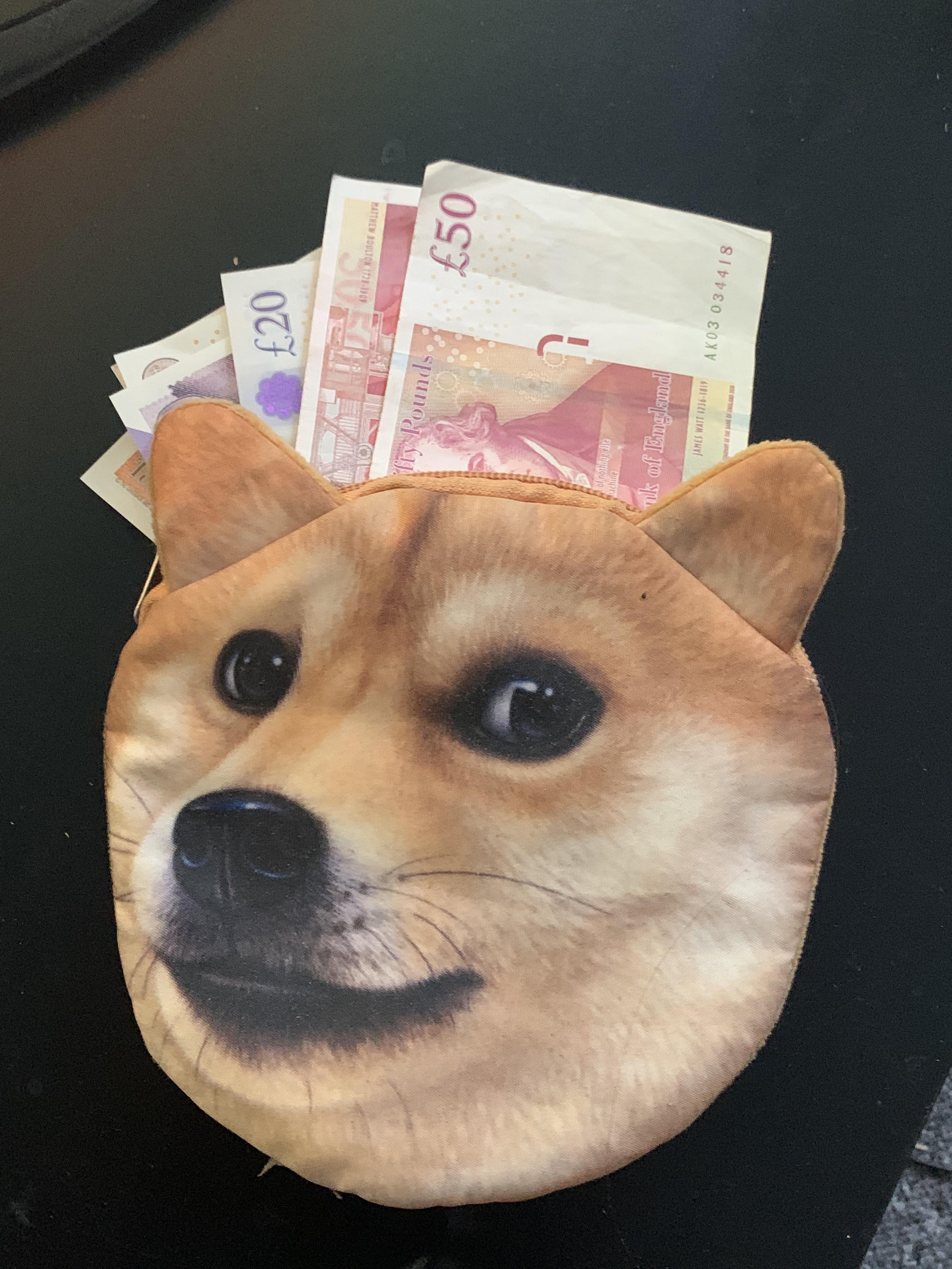 New doge wallet let’s go | Scrolller