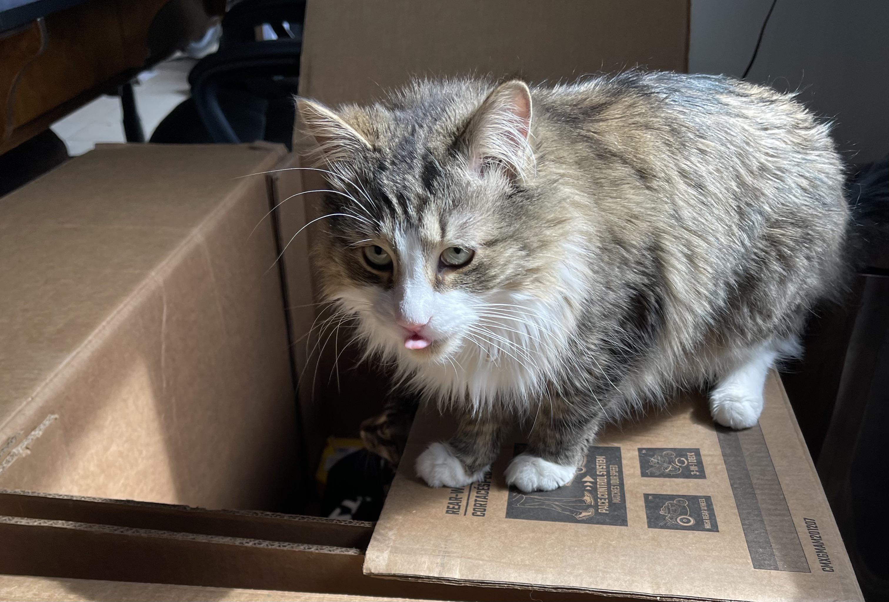 New lawnmower box! | Scrolller