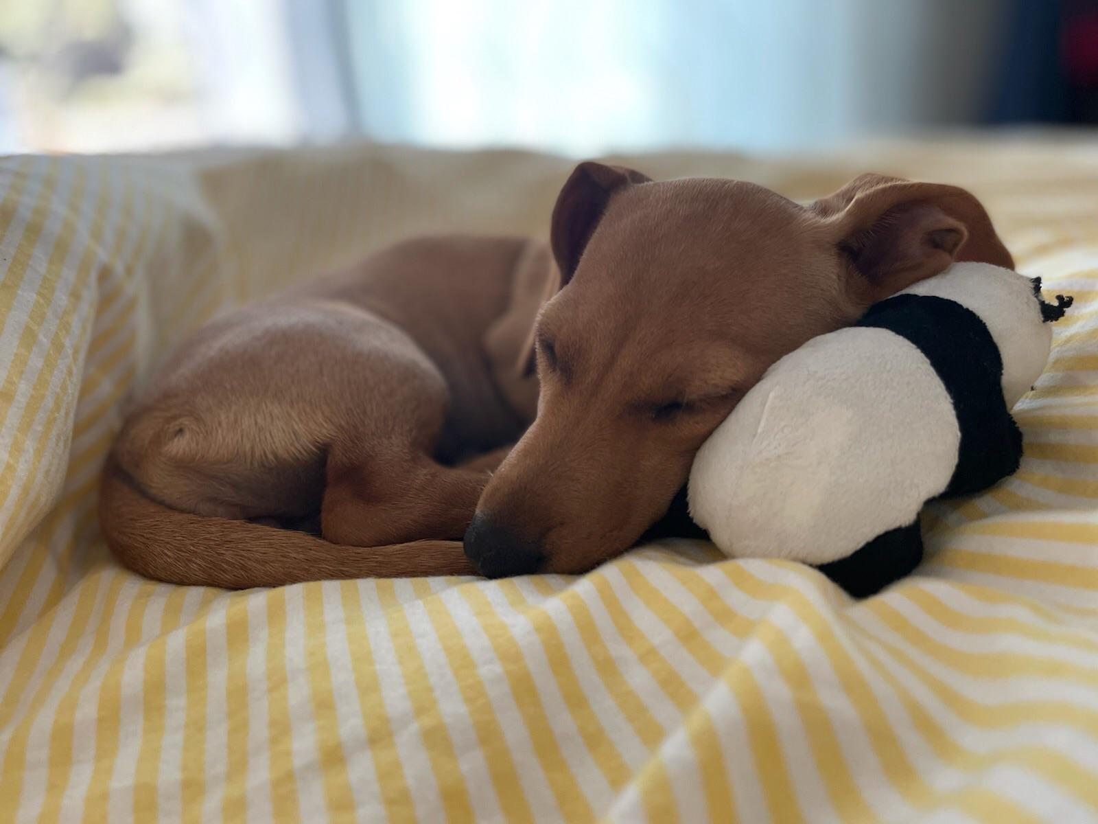 New little bean | Scrolller