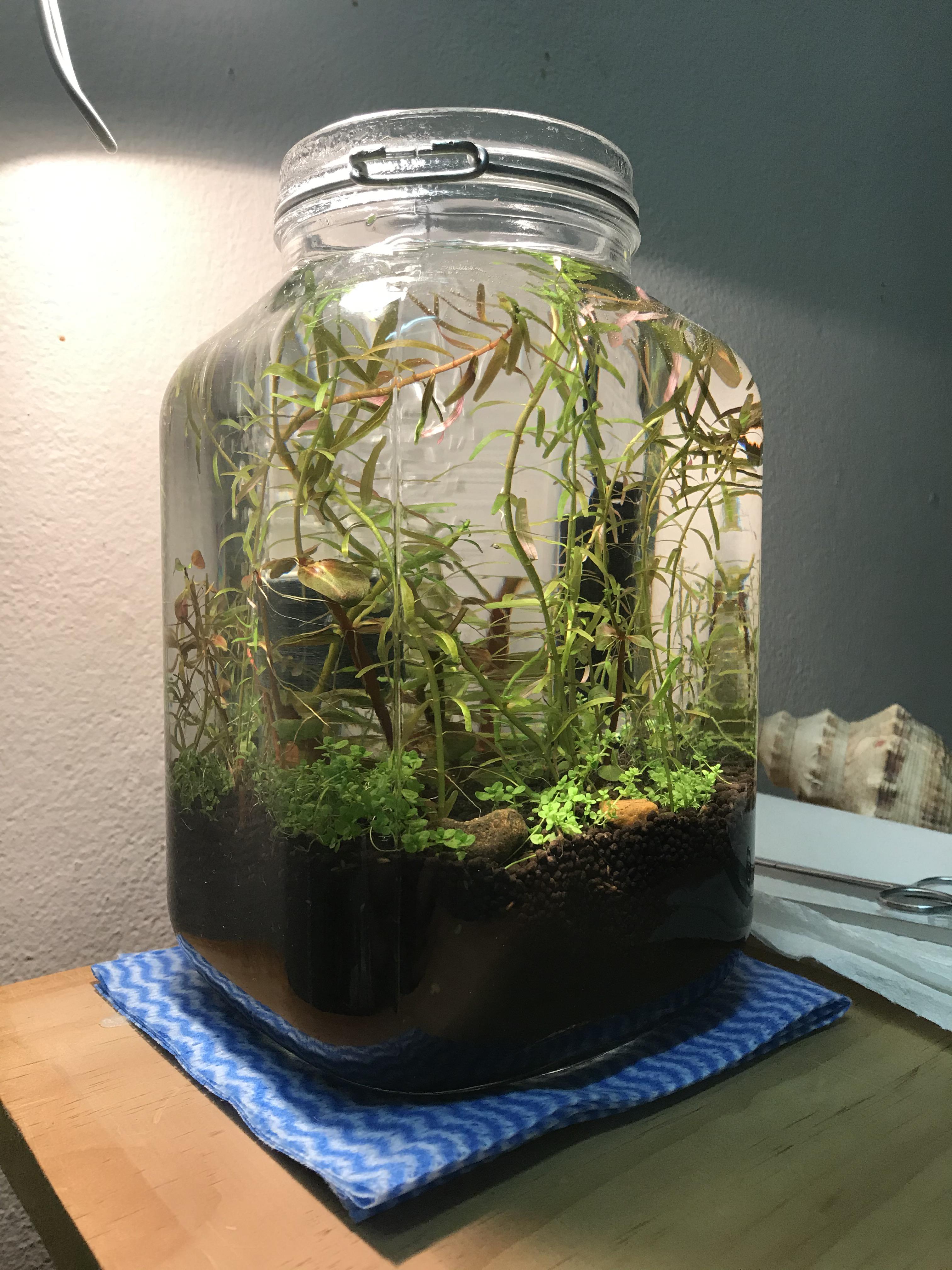 New project this month! Im excited | Scrolller