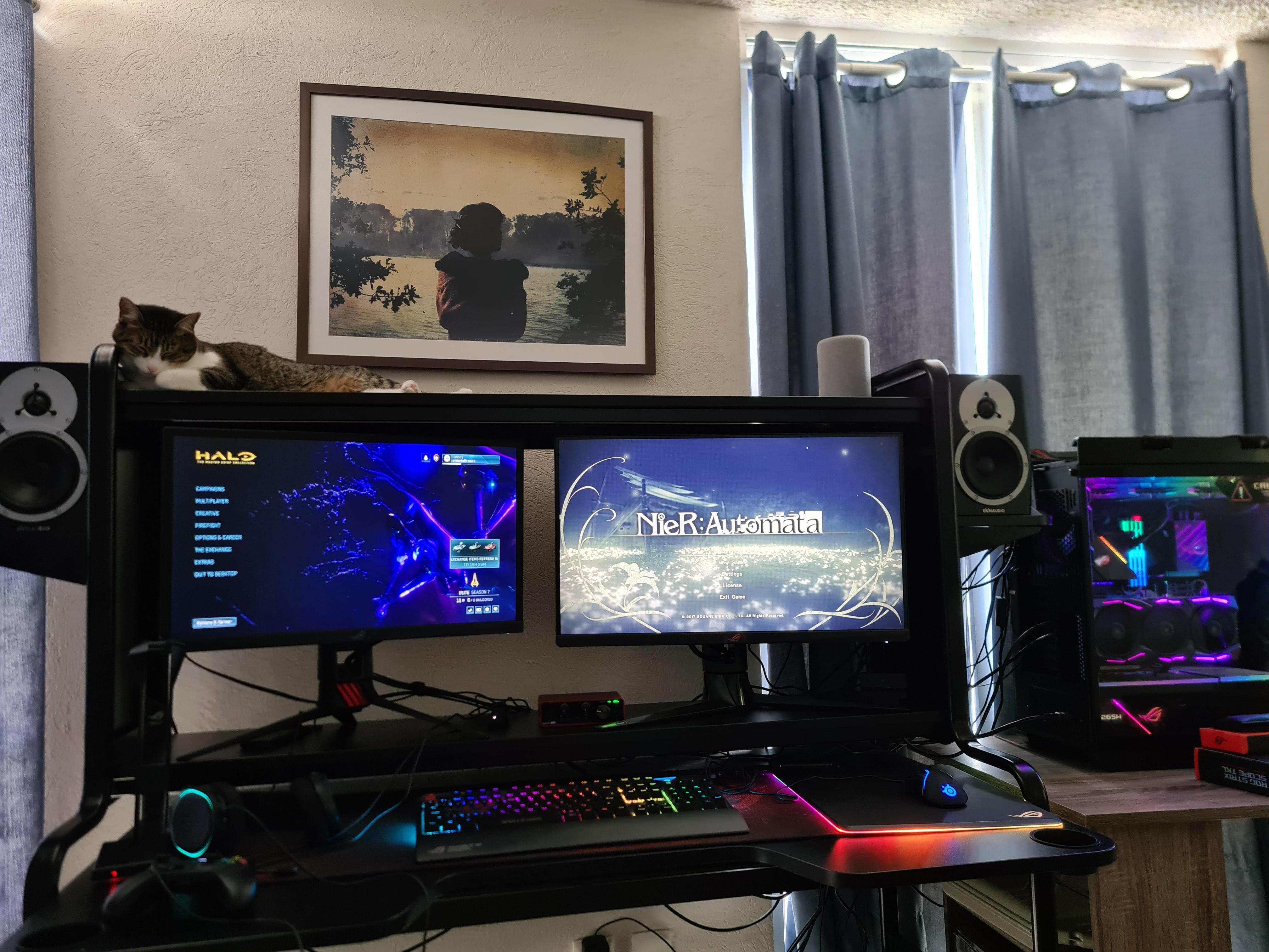 New setup. A bit of a fan of ROG... | Scrolller