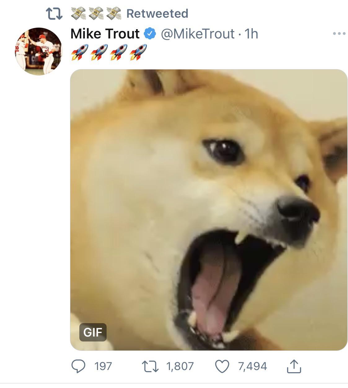 New supporter. Mike Trout | Scrolller