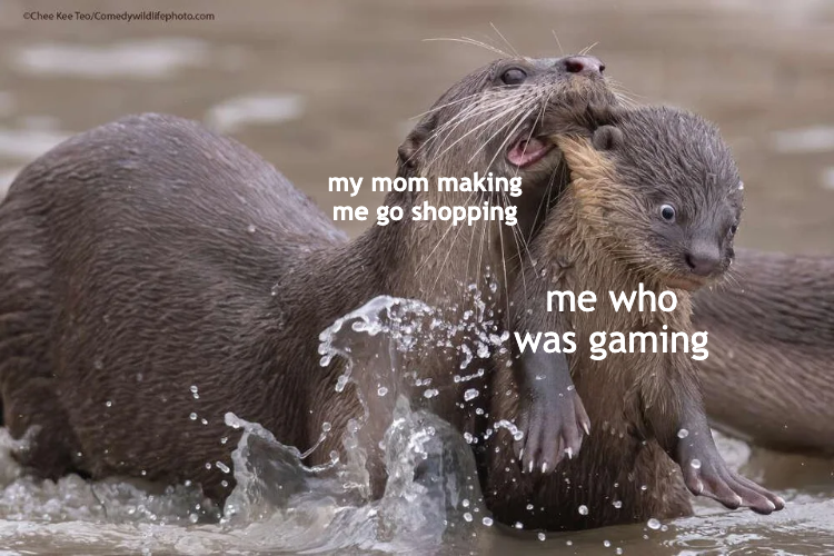 new template idea? | Scrolller