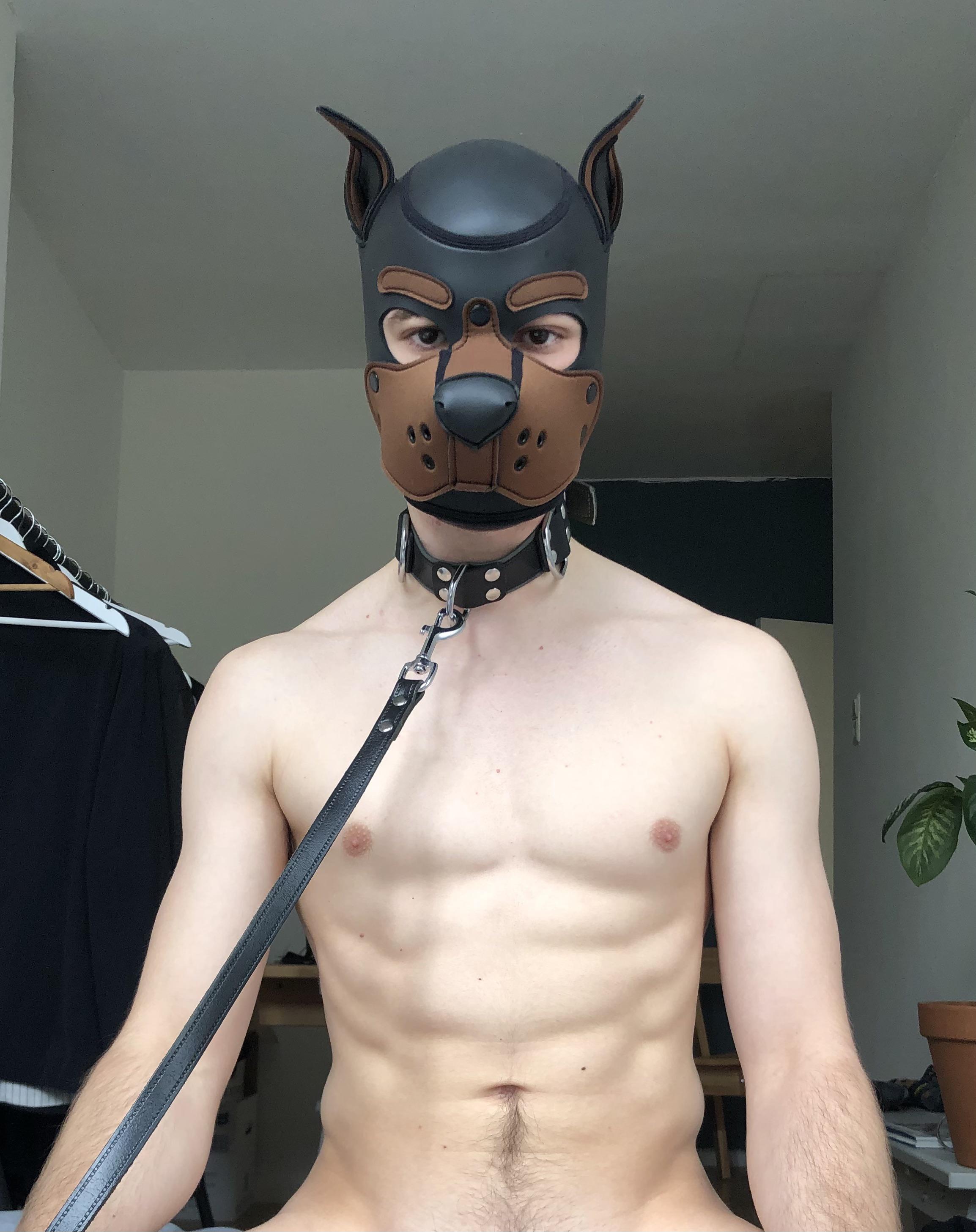 New to the Puppy scene! Who wants to hold my leash? | Scrolller