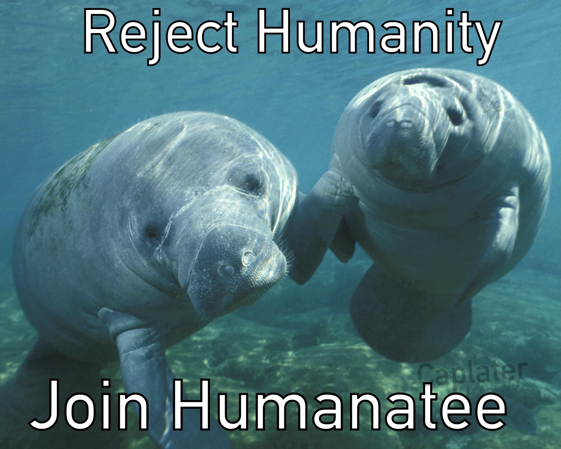 Next step in our evolution | Scrolller