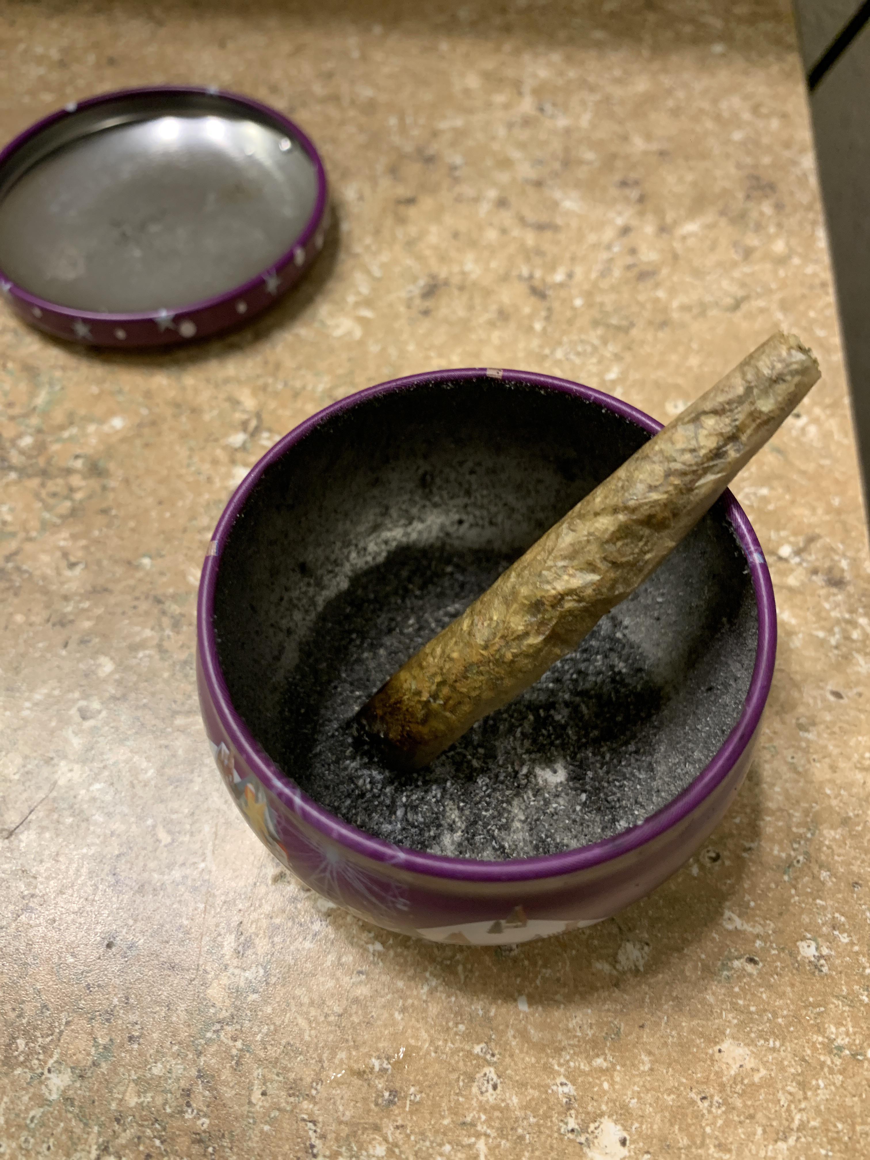 Nice jay to start the day | Scrolller