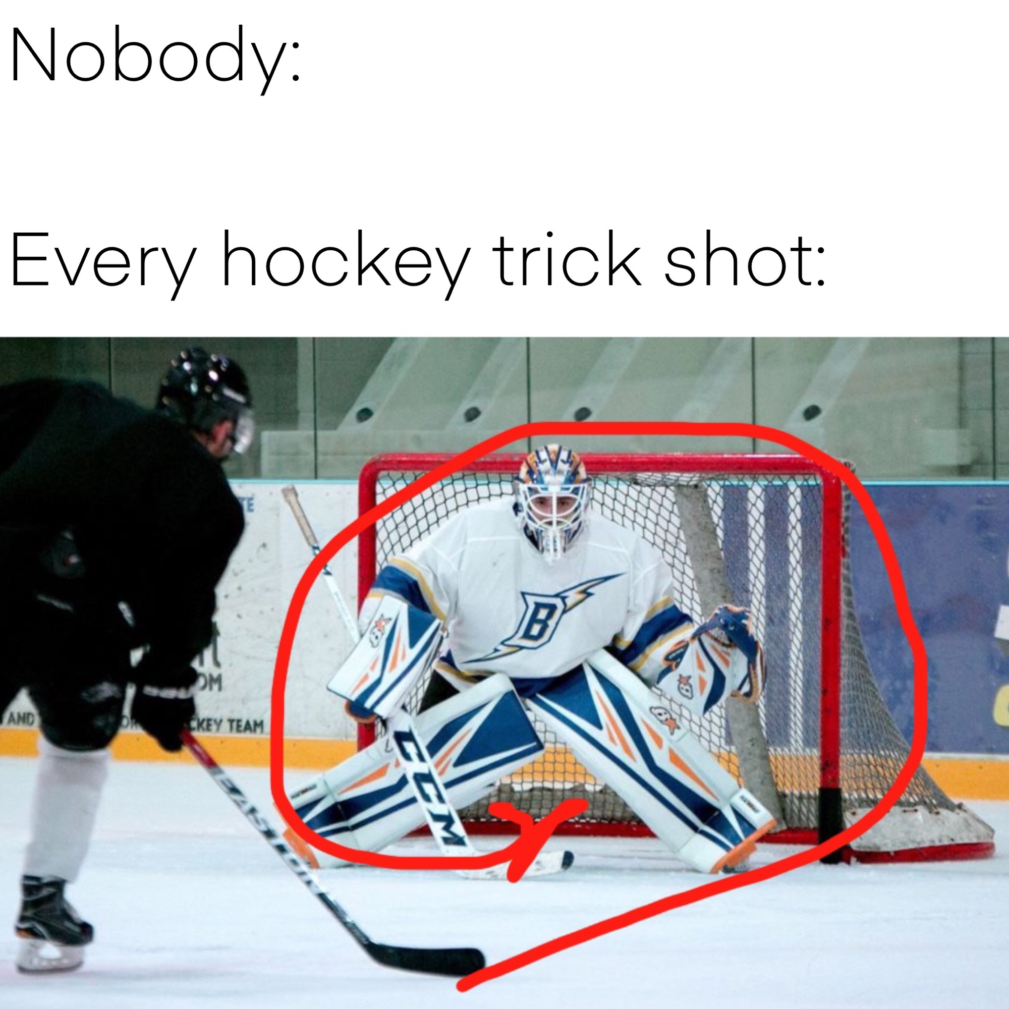 “Nice shot!” | Scrolller