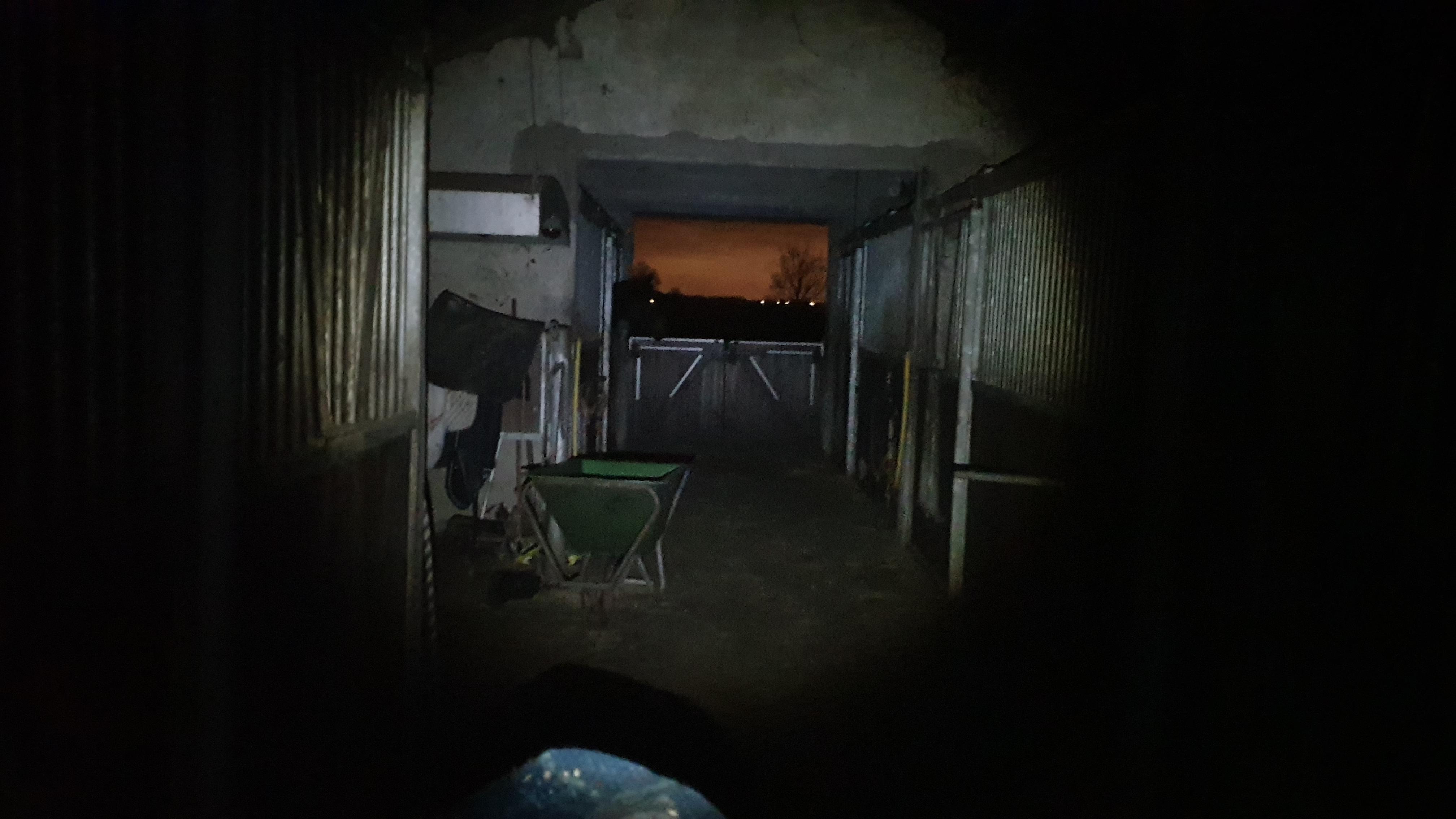 Nice stable | Scrolller