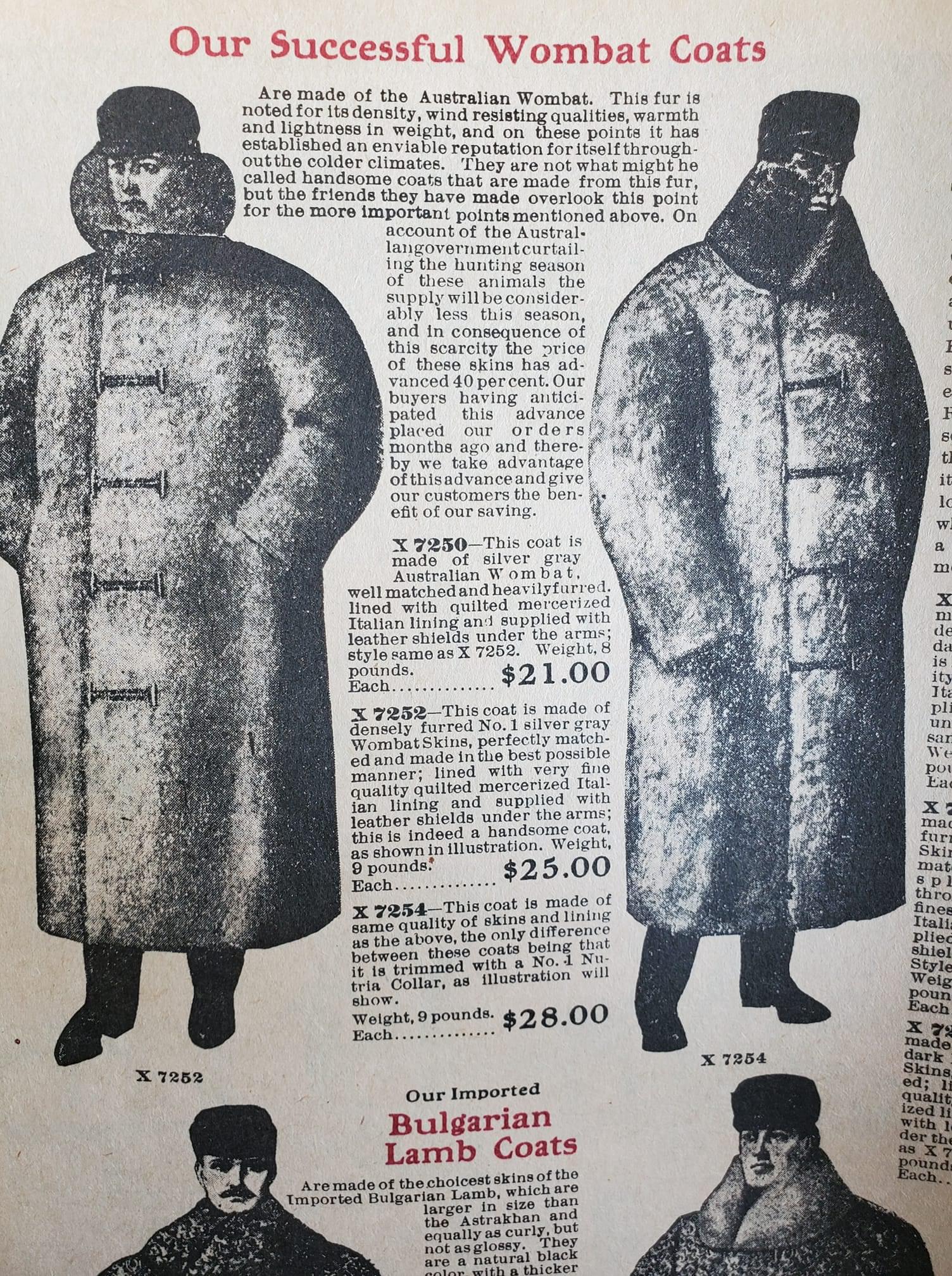 Nice try, but a successful wombat wouldn’t get caught. ad from the 1800s | Scrolller